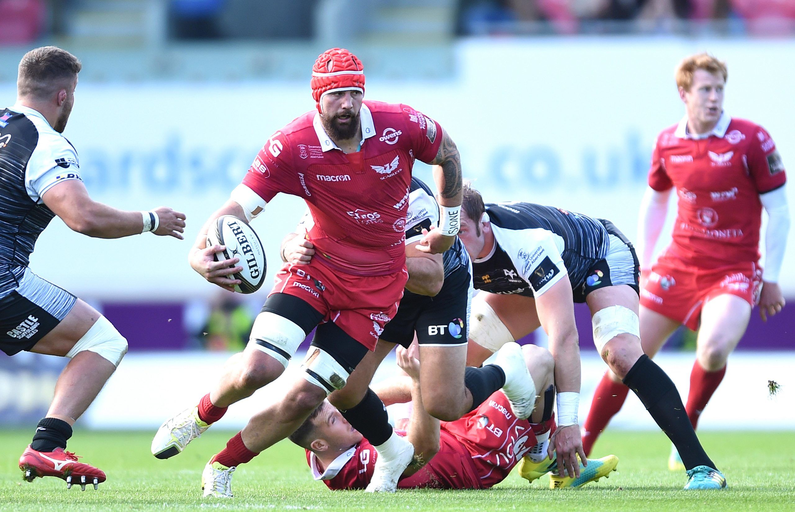 Blade Thomson set for Scotland debut at Murrayfield - Scarlets Rugby