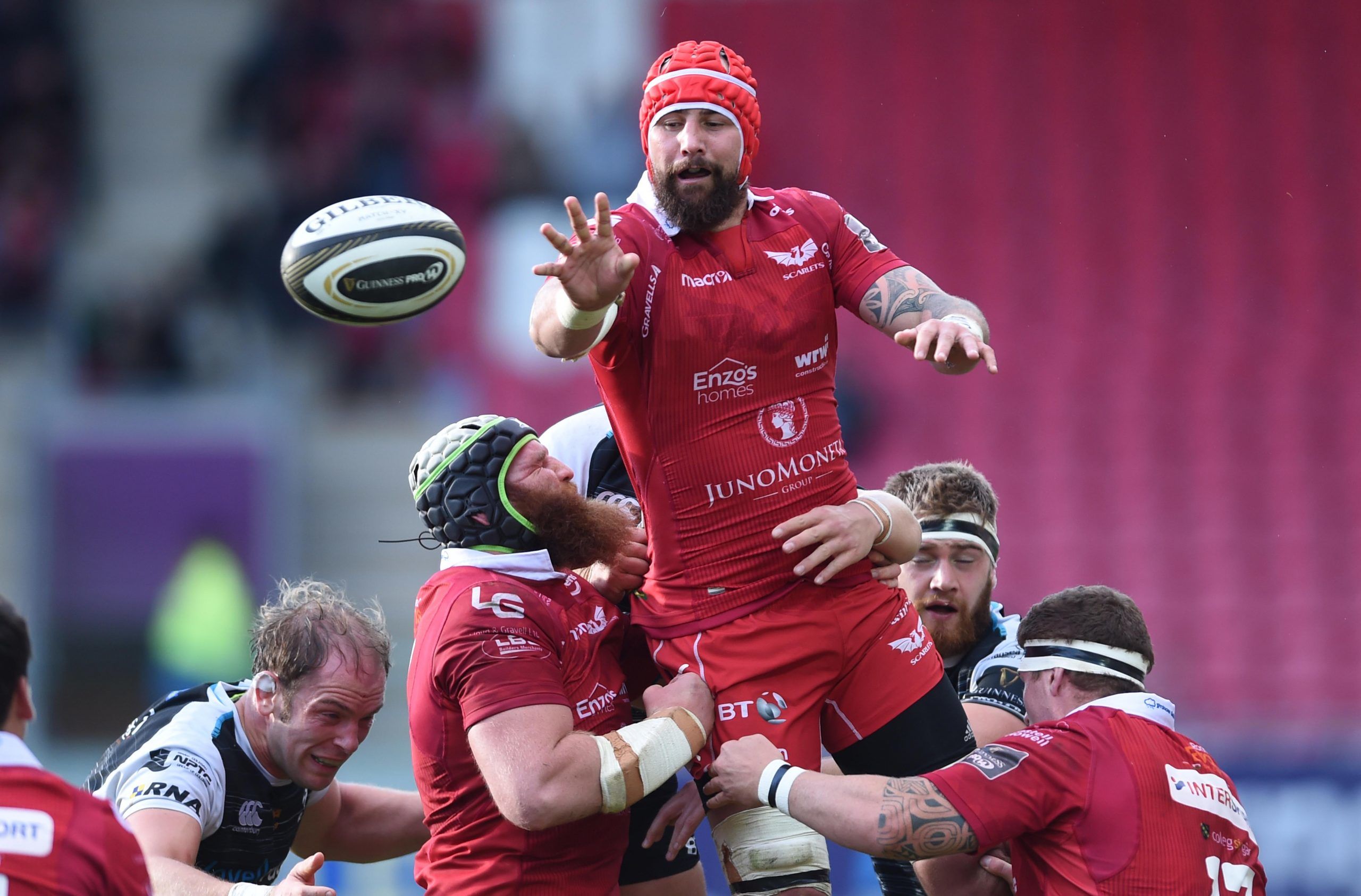 Thomson named in Scotland squad - Scarlets Rugby
