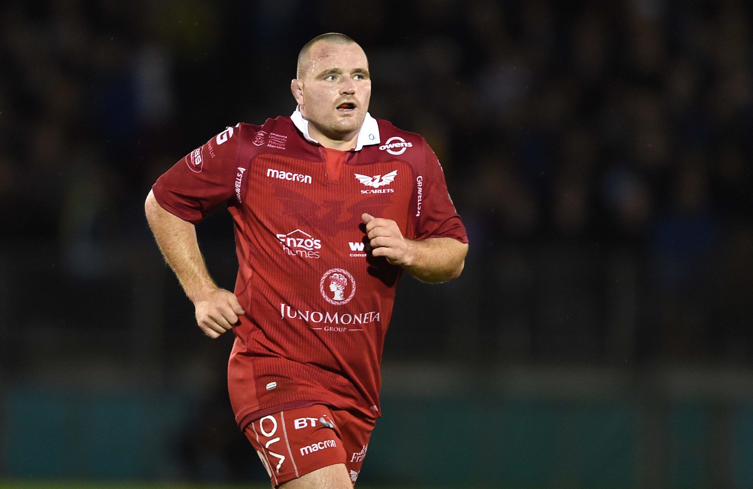 European half century for captain Owens - Scarlets Rugby