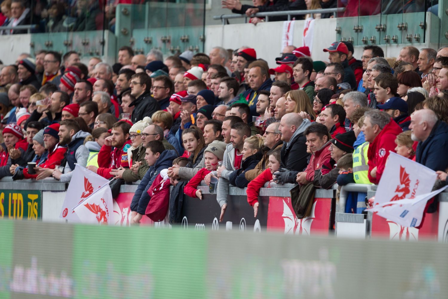 Are you the face of the Scarlets? - Scarlets Rugby
