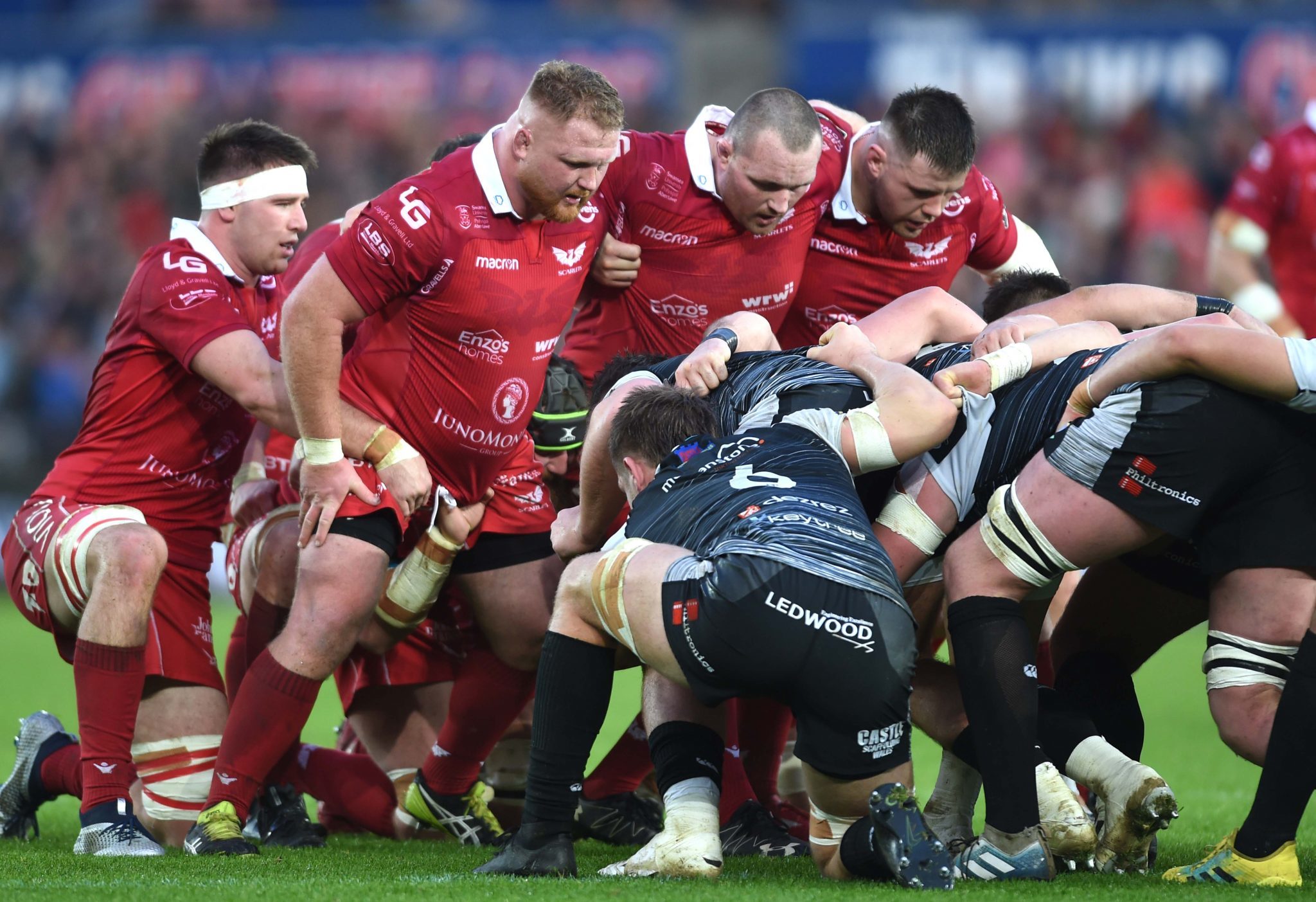 Scarlets last few fixtures of the Guinness PRO 14 - Scarlets Rugby