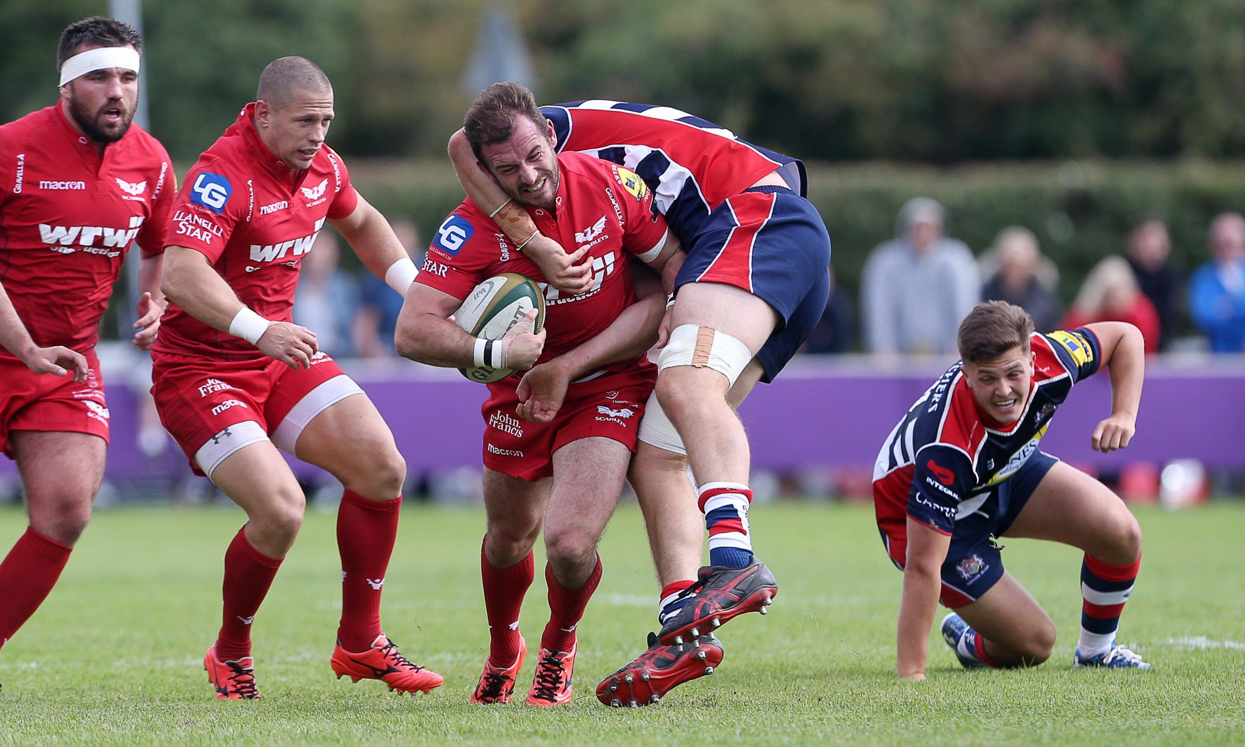 Grabham forced to retire due to injury - Scarlets Rugby