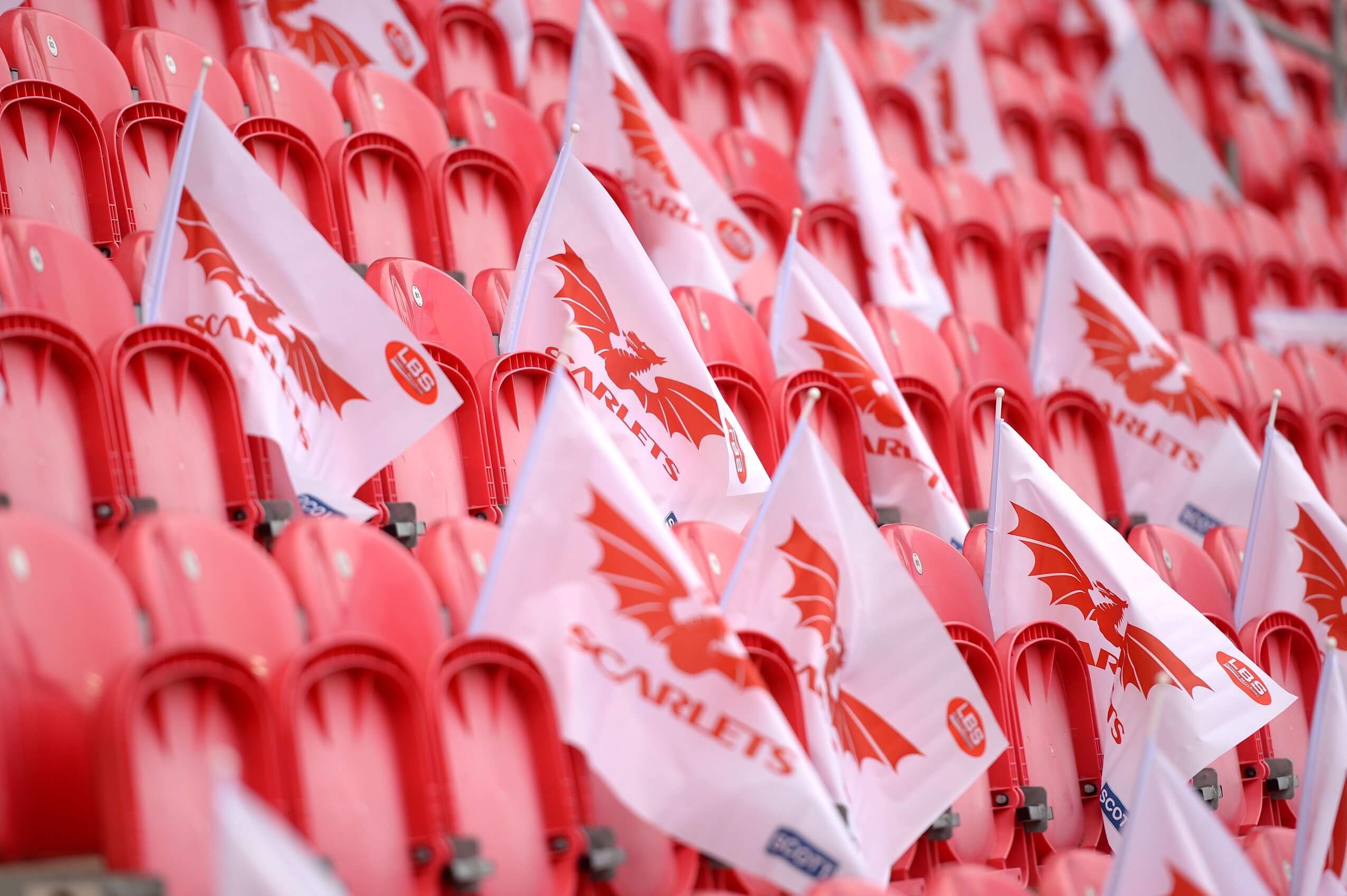 Update for season ticket holders - Scarlets Rugby
