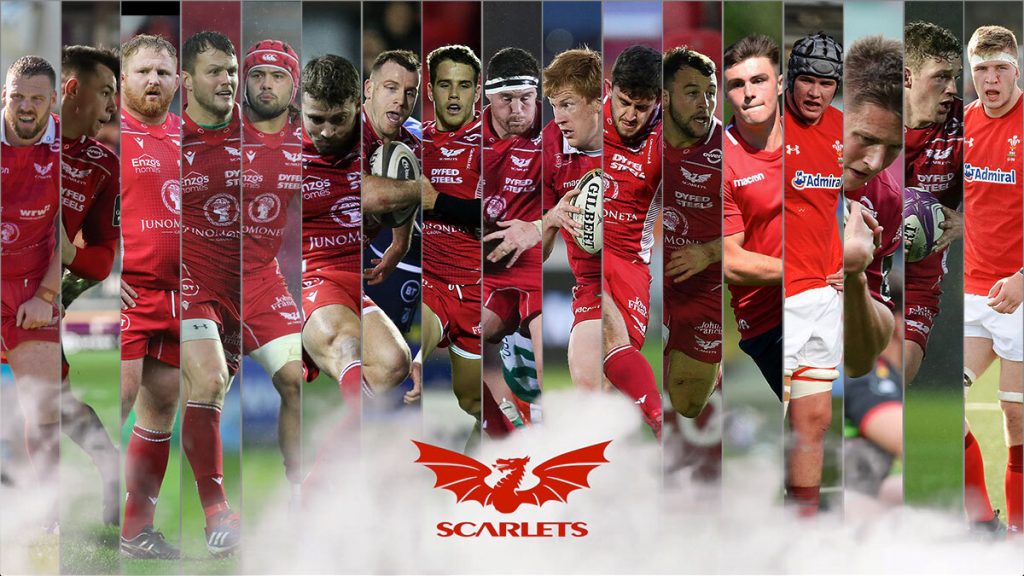 Scarlets continue to build squad depth with 17 players signing new ...