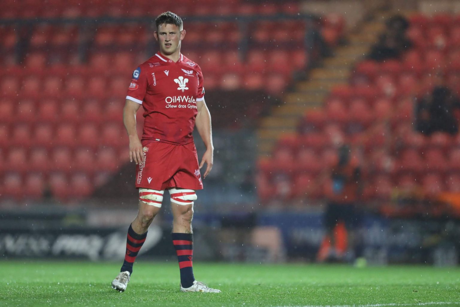 Disciplinary update - Josh Helps - Scarlets Rugby