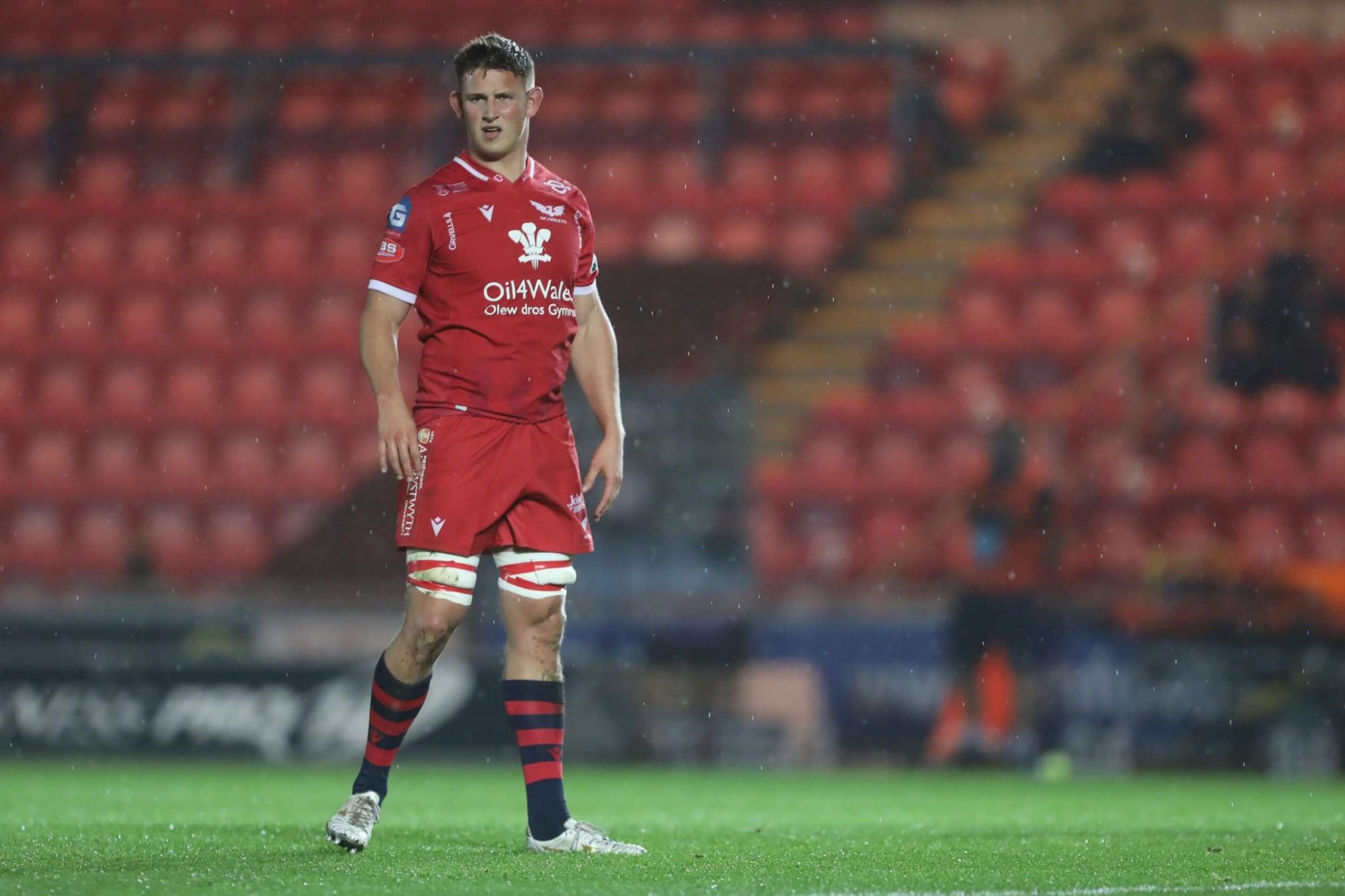 Disciplinary update - Josh Helps - Scarlets Rugby