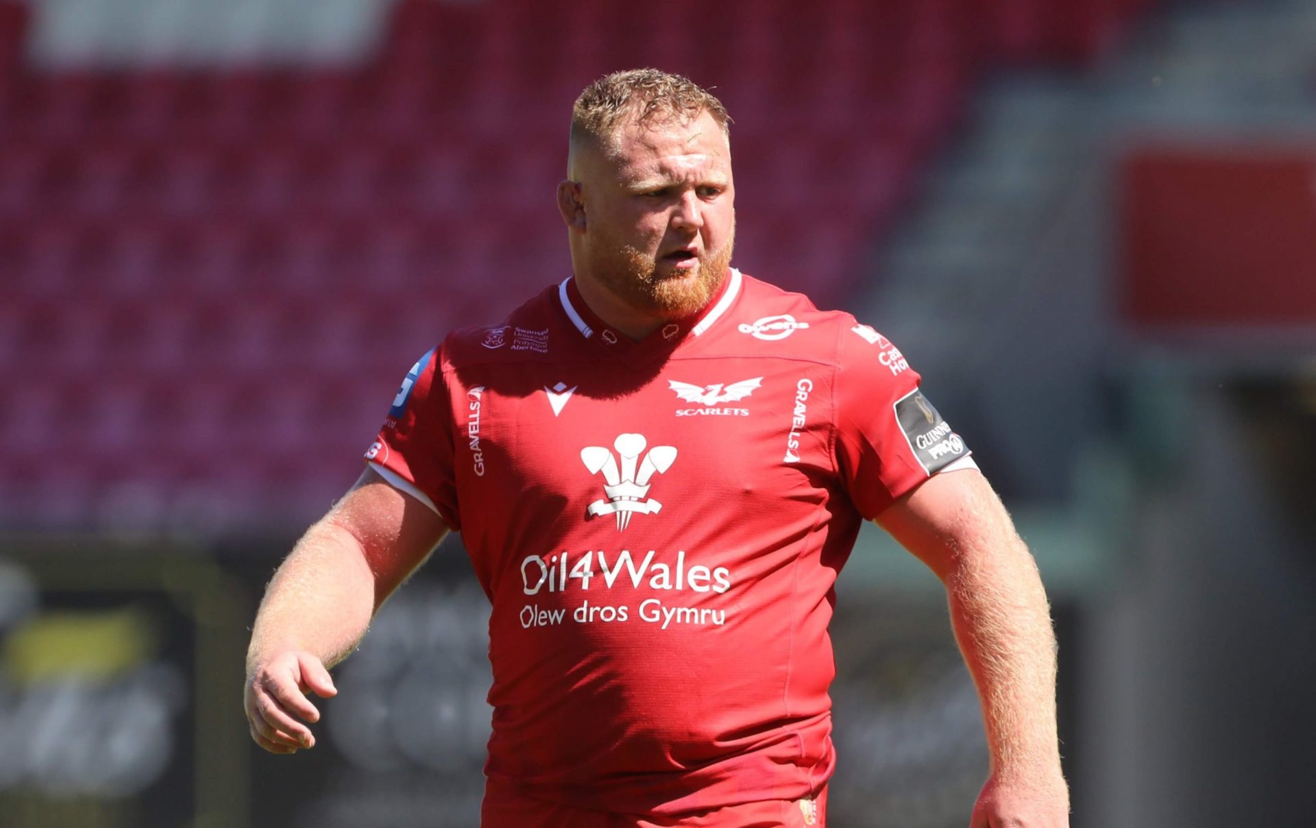 Wales call up Samson - Scarlets Rugby