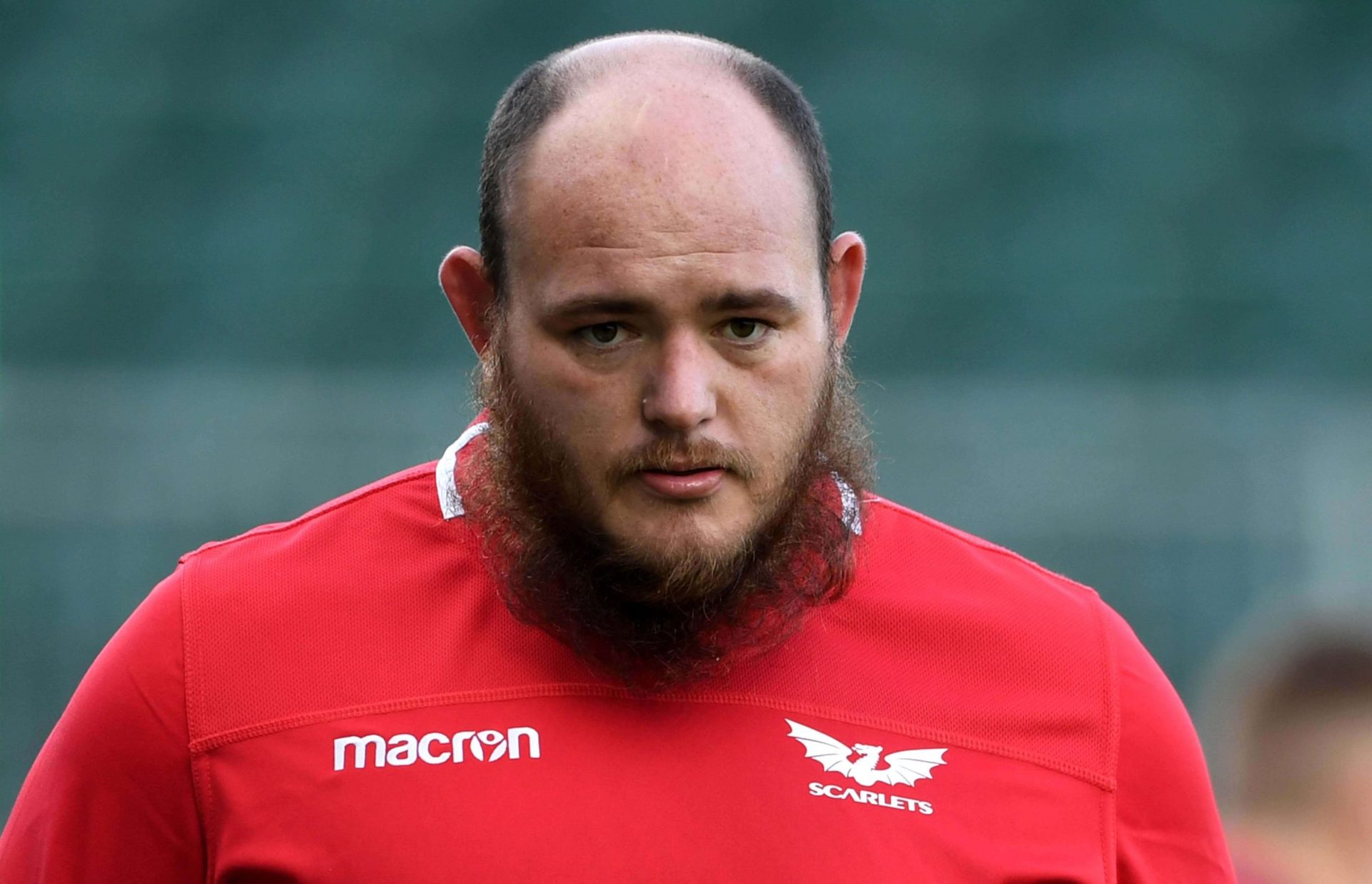 Pieter Scholtz signs for Wasps - Scarlets Rugby