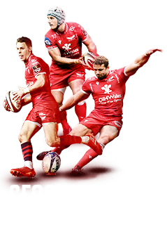 Official Website - Scarlets Rugby