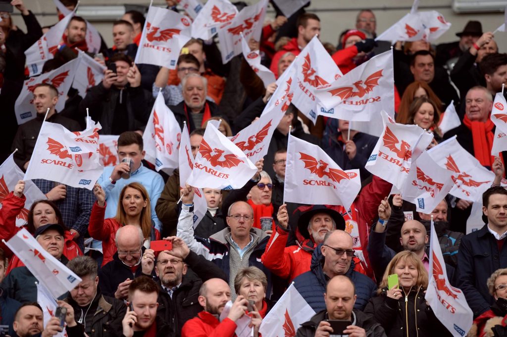 Everything you need to know if you’re coming to the game - Scarlets Rugby