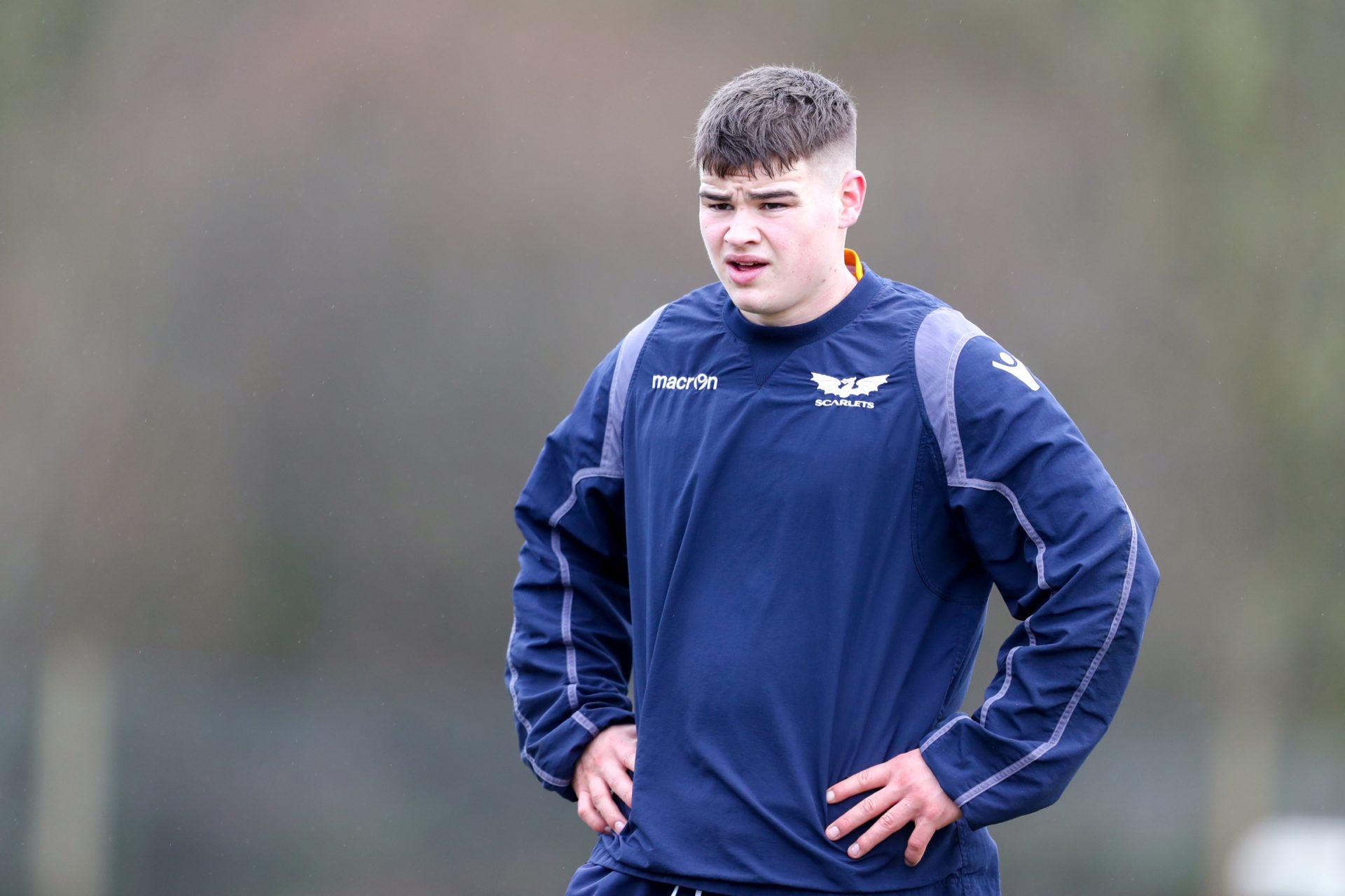 Scarlets News - Scarlets Rugby