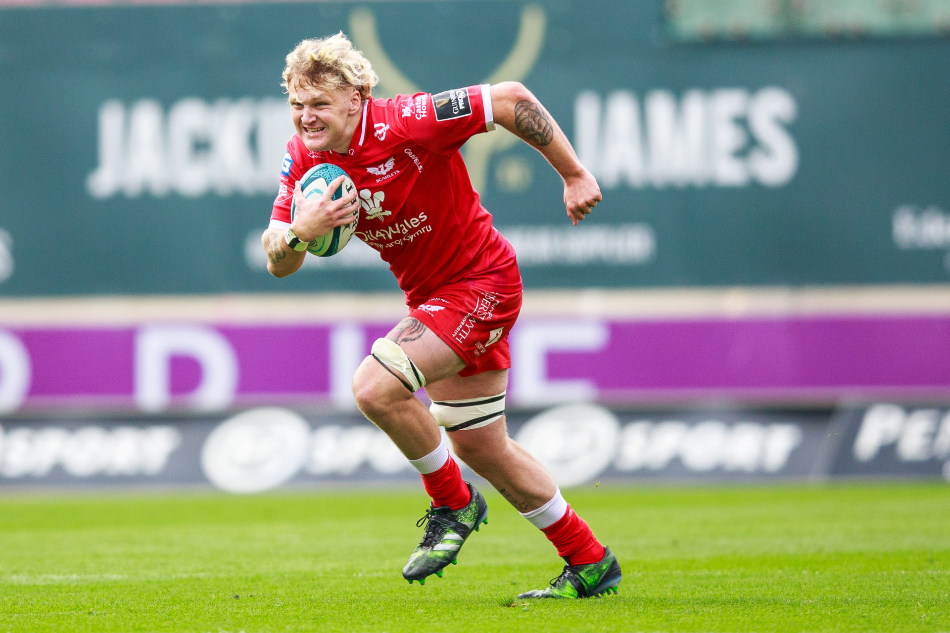 Scarlets News - Scarlets Rugby