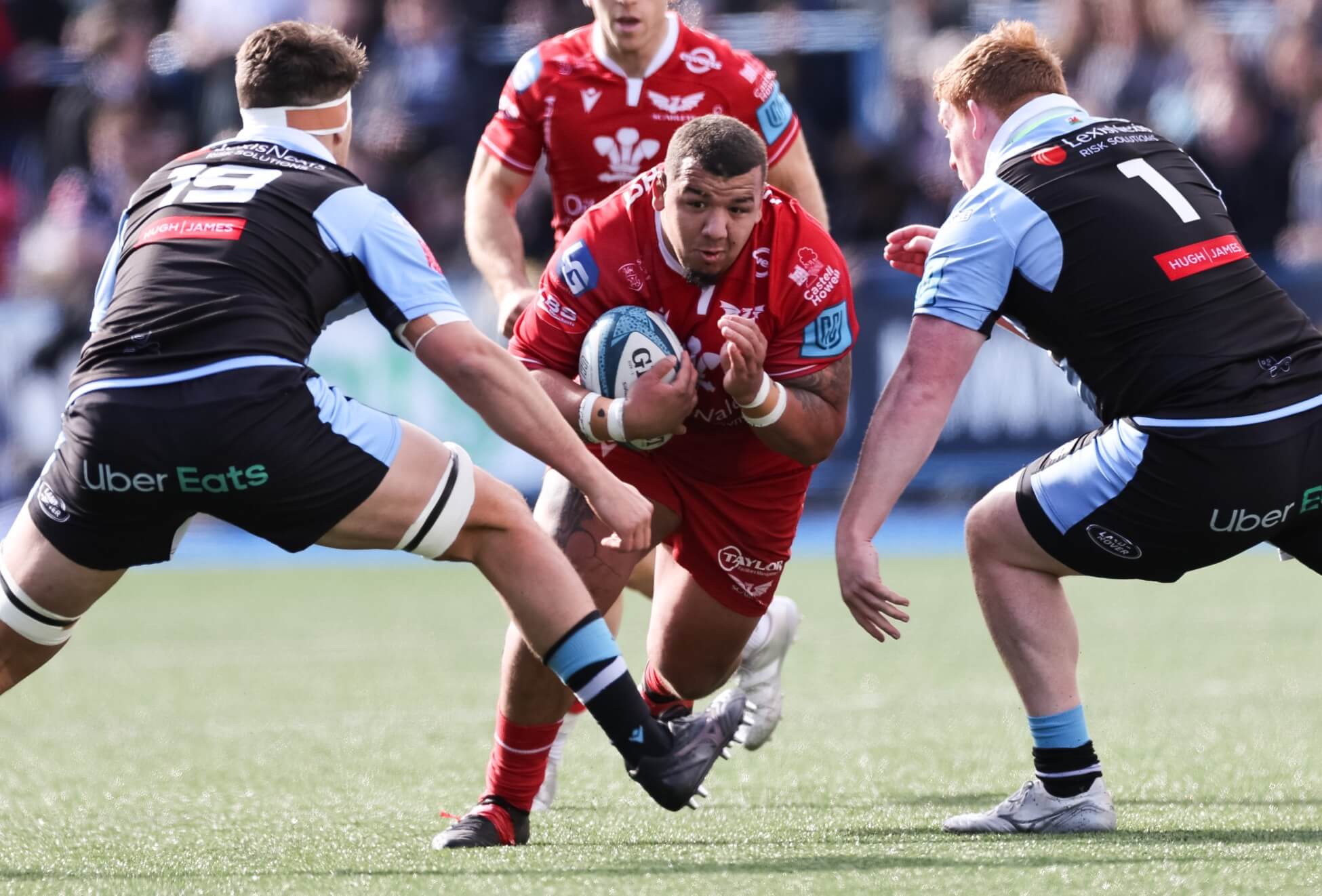 Scarlets News - Scarlets Rugby