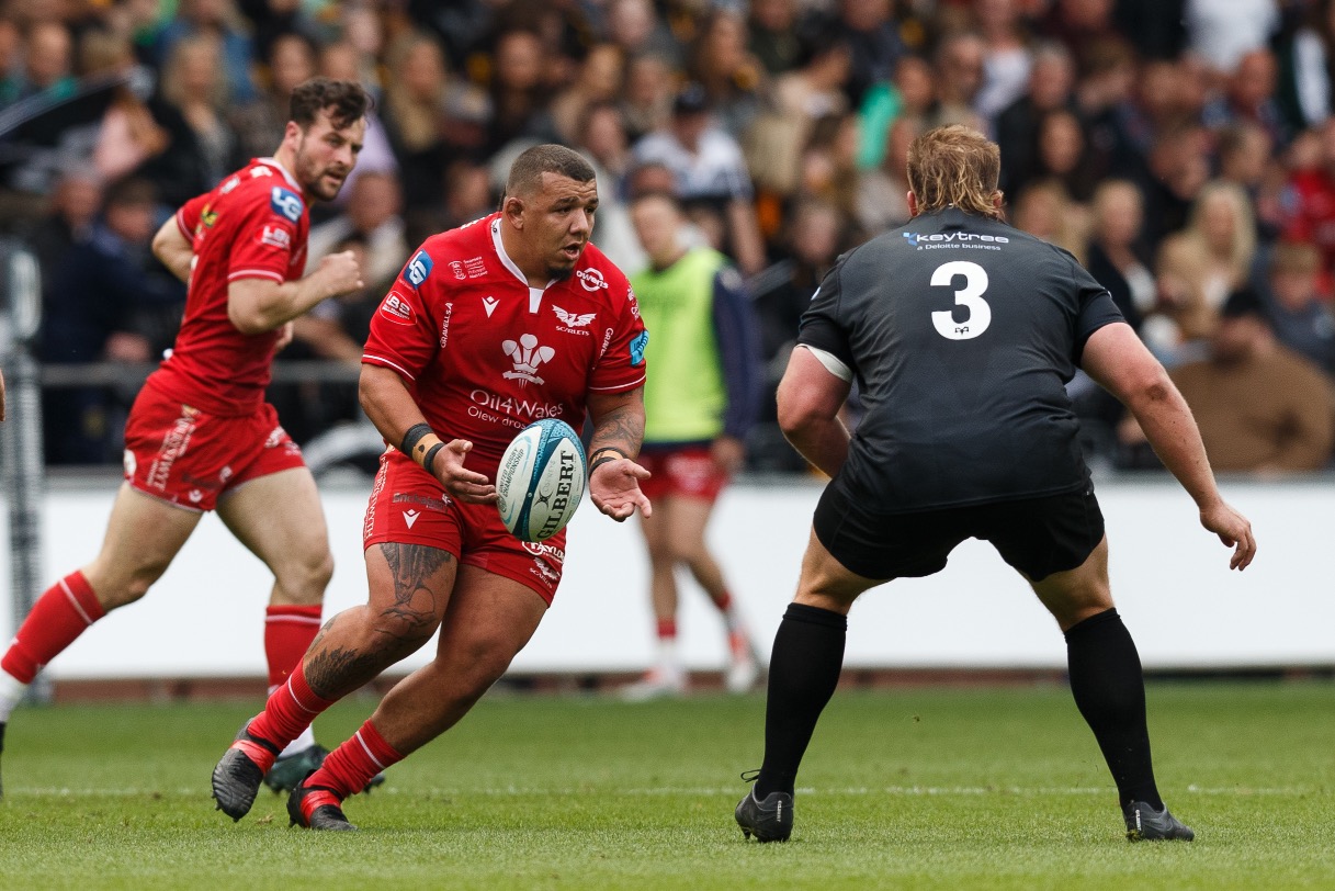 Javan named in Scotland squad to face Pumas - Scarlets Rugby