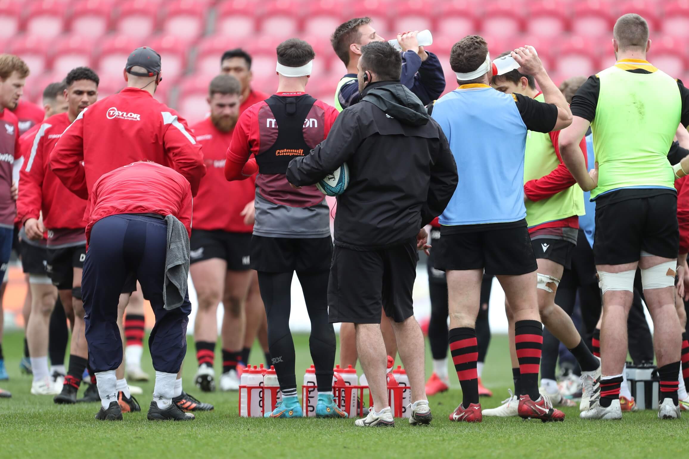 News - Recruitment - Scarlets Rugby