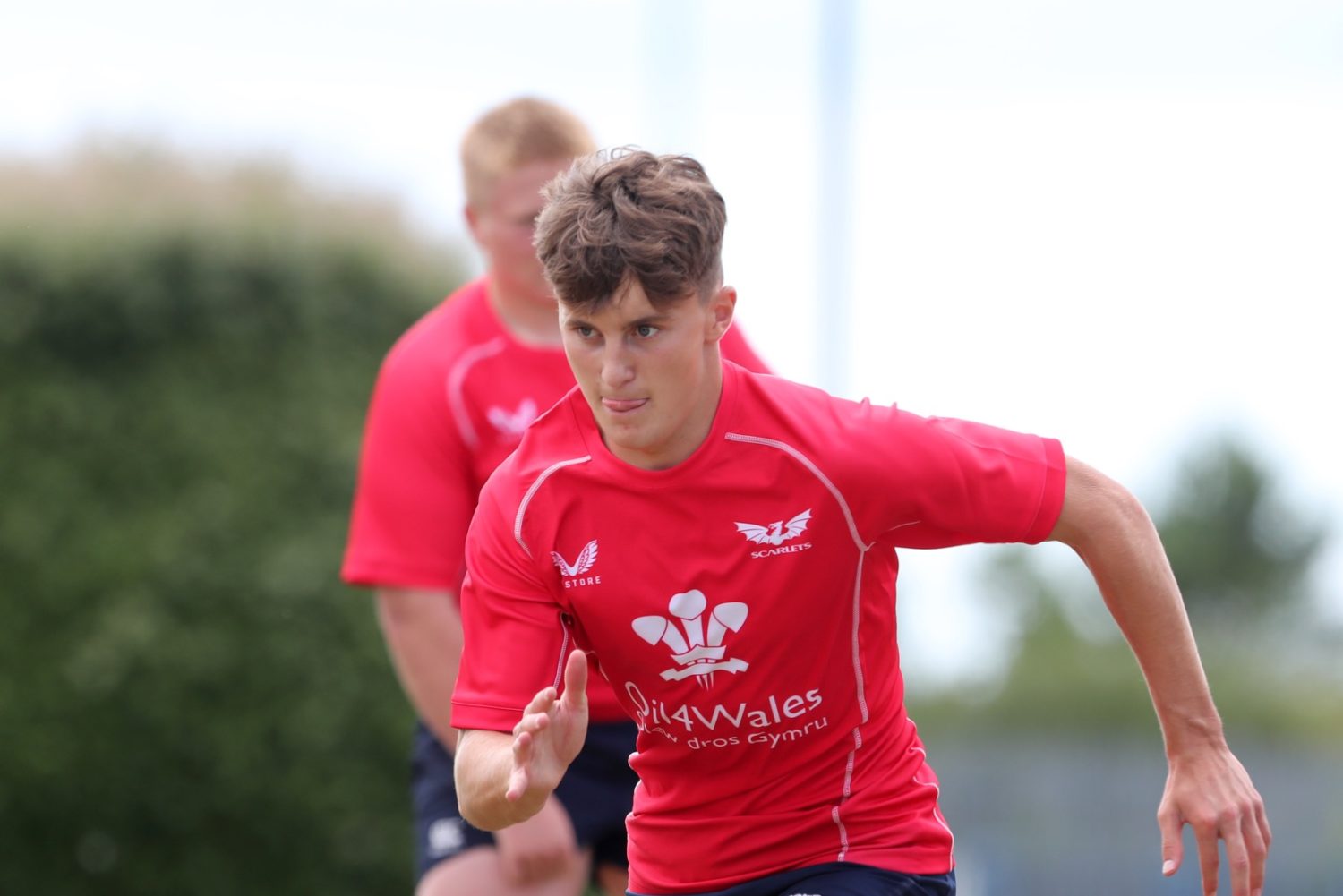 Scarlets six named in U18s squad for training camp - Scarlets Rugby