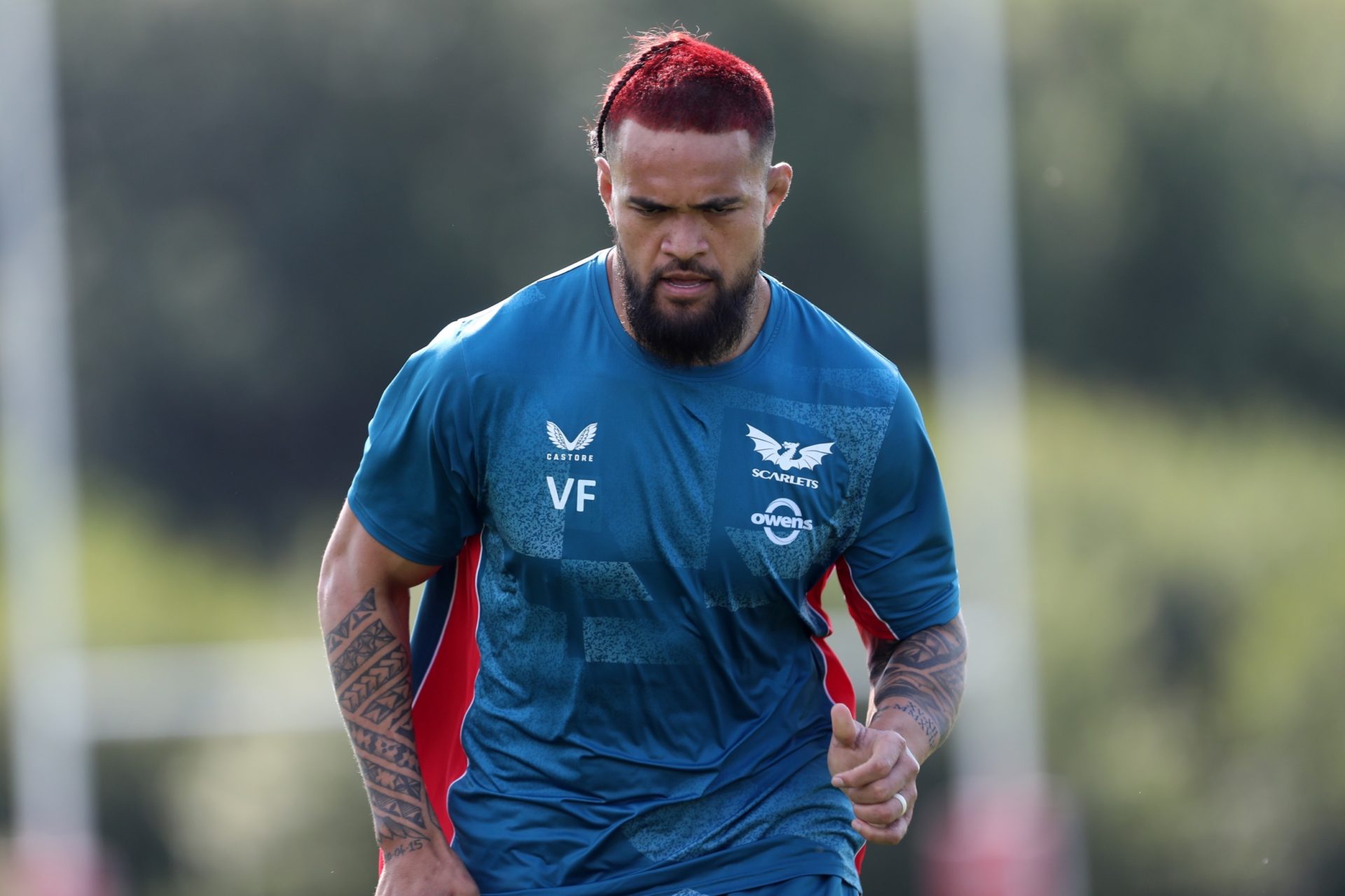 Fifita to make Scarlets debut against Bears - Scarlets Rugby