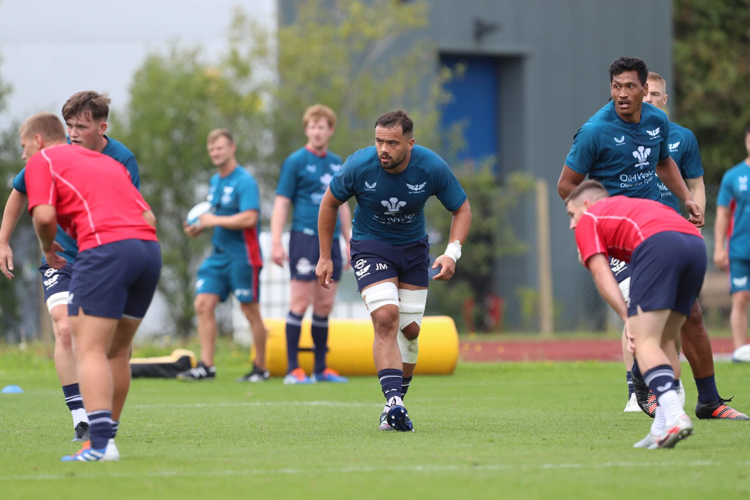 Scarlets show three changes for Ulster test - Scarlets Rugby