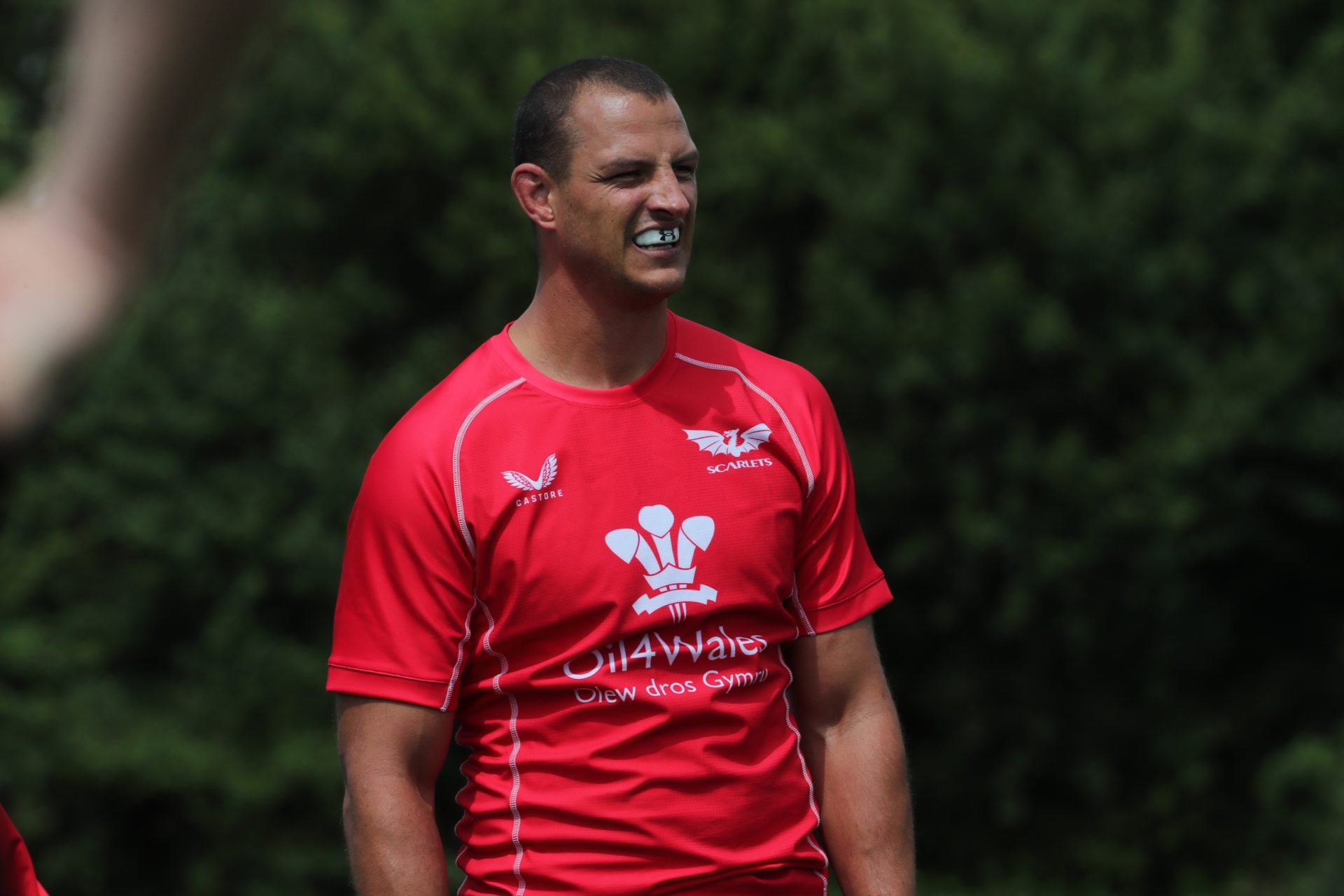 Scarlets News - Scarlets Rugby