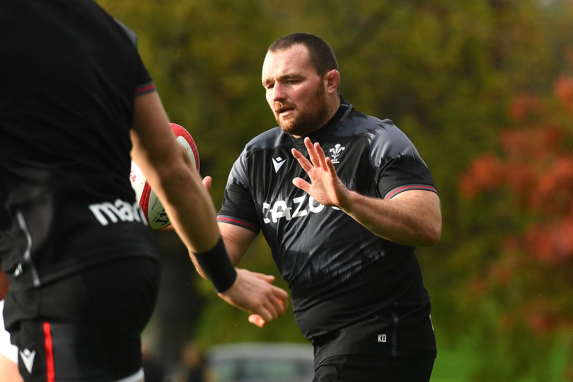 Four Scarlets named in Autumn Series opener against New Zealand ...