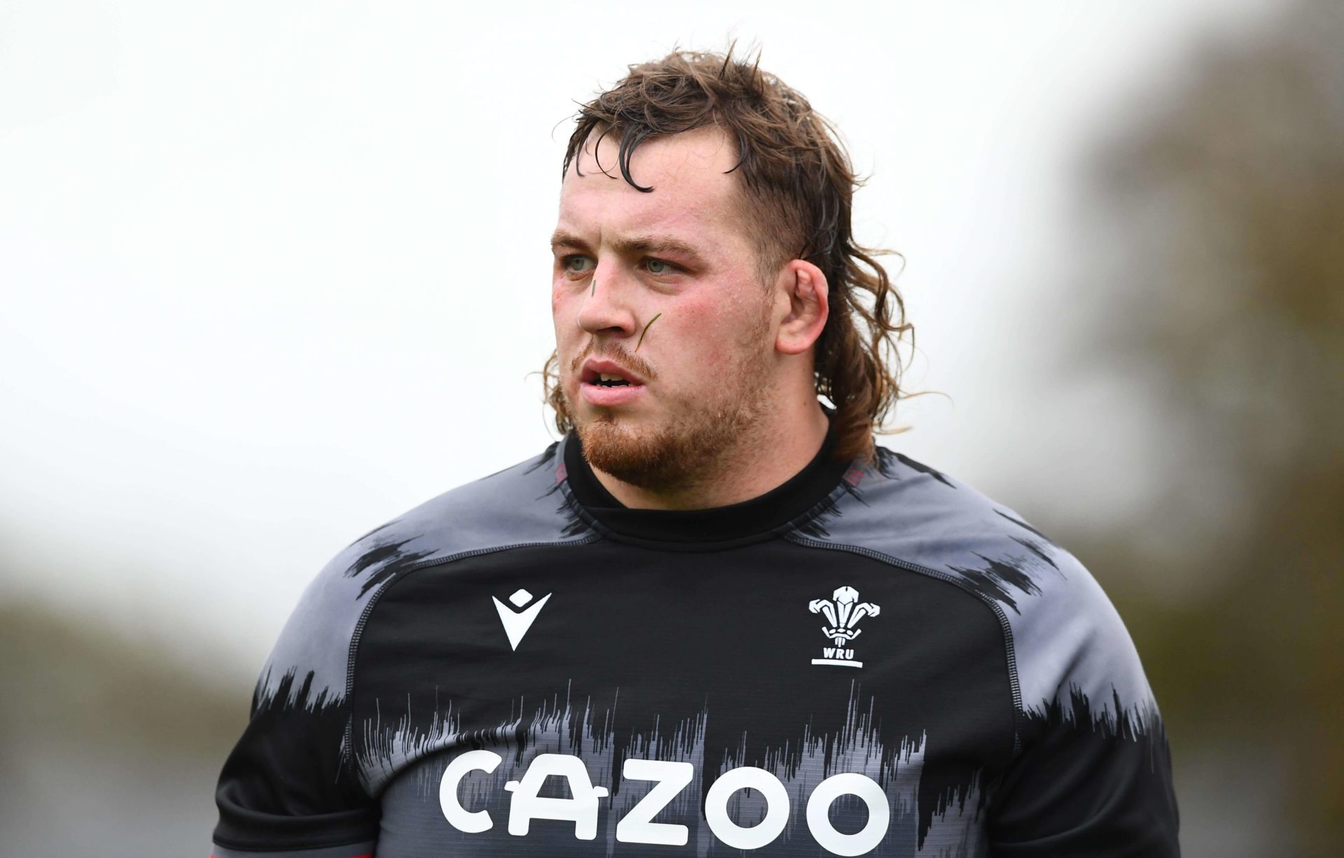 Wales international Sam Wainwright signs from Saracens - Scarlets Rugby