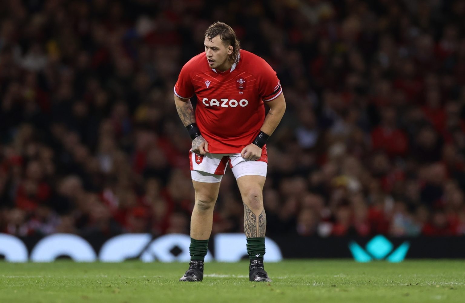 Wales international Sam Wainwright signs from Saracens - Scarlets Rugby