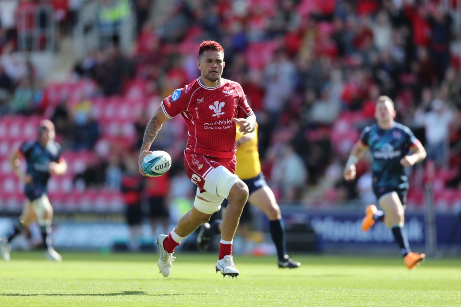 Vaea Fifita set for Tonga debut - Scarlets Rugby