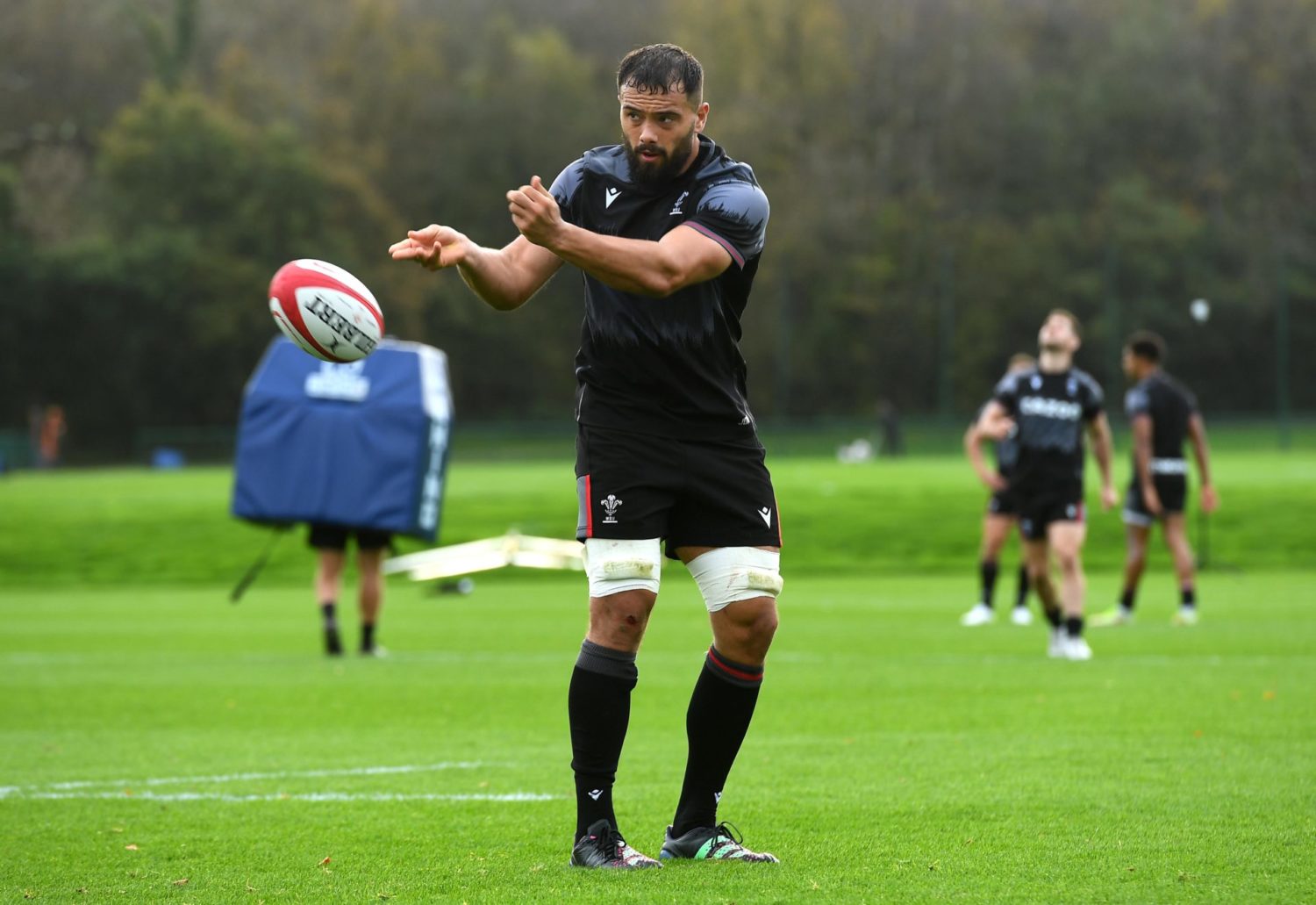Josh Macleod named in Wales side to face Georgia - Scarlets Rugby