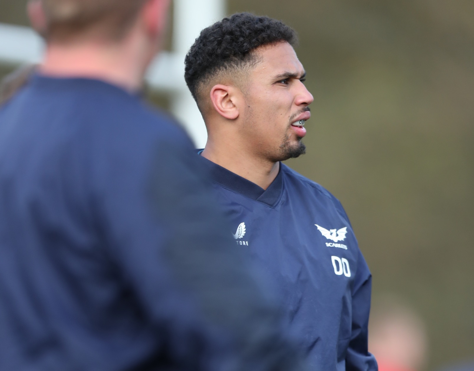 New Year, new opportunity for Dan Davis - Scarlets Rugby
