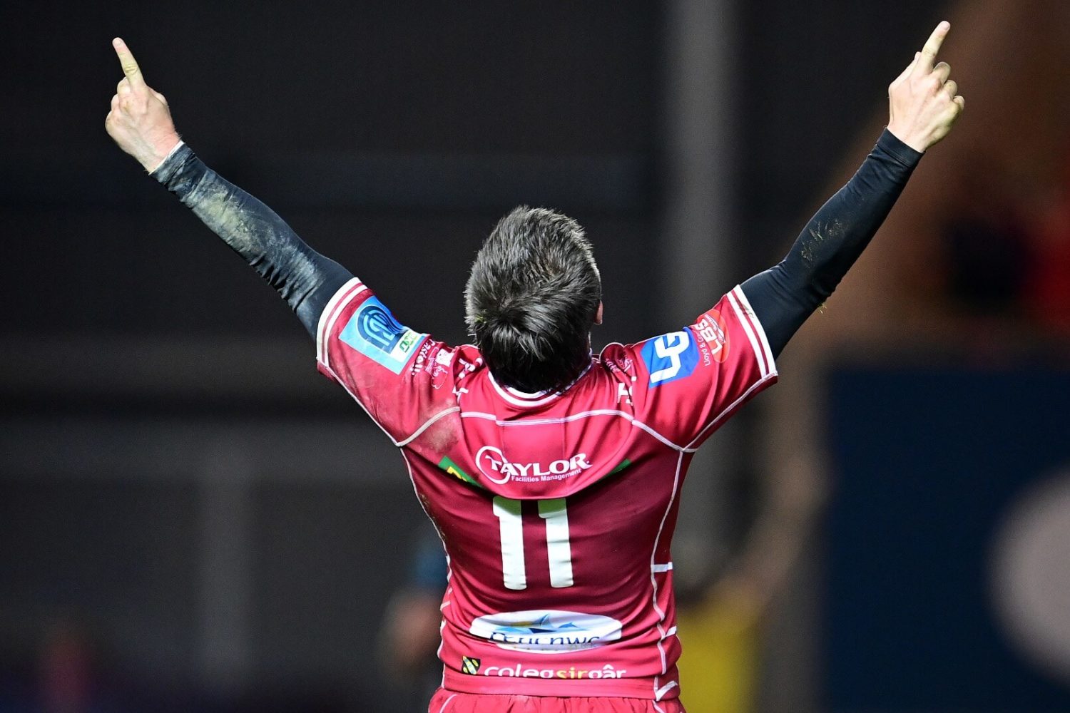 Steff Evans creates slice of URC history - Scarlets Rugby