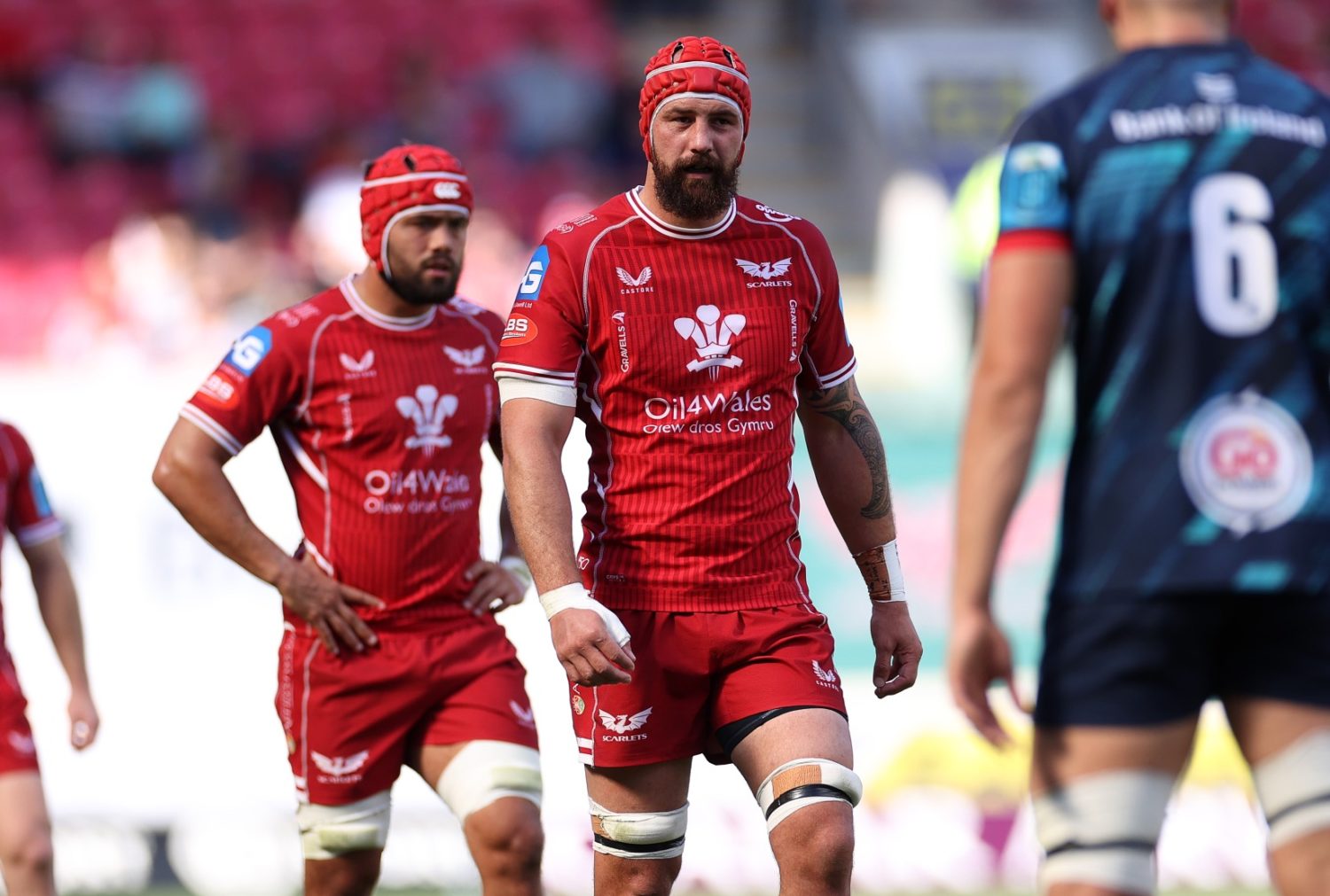 Blade Thomson to retire from rugby - Scarlets Rugby