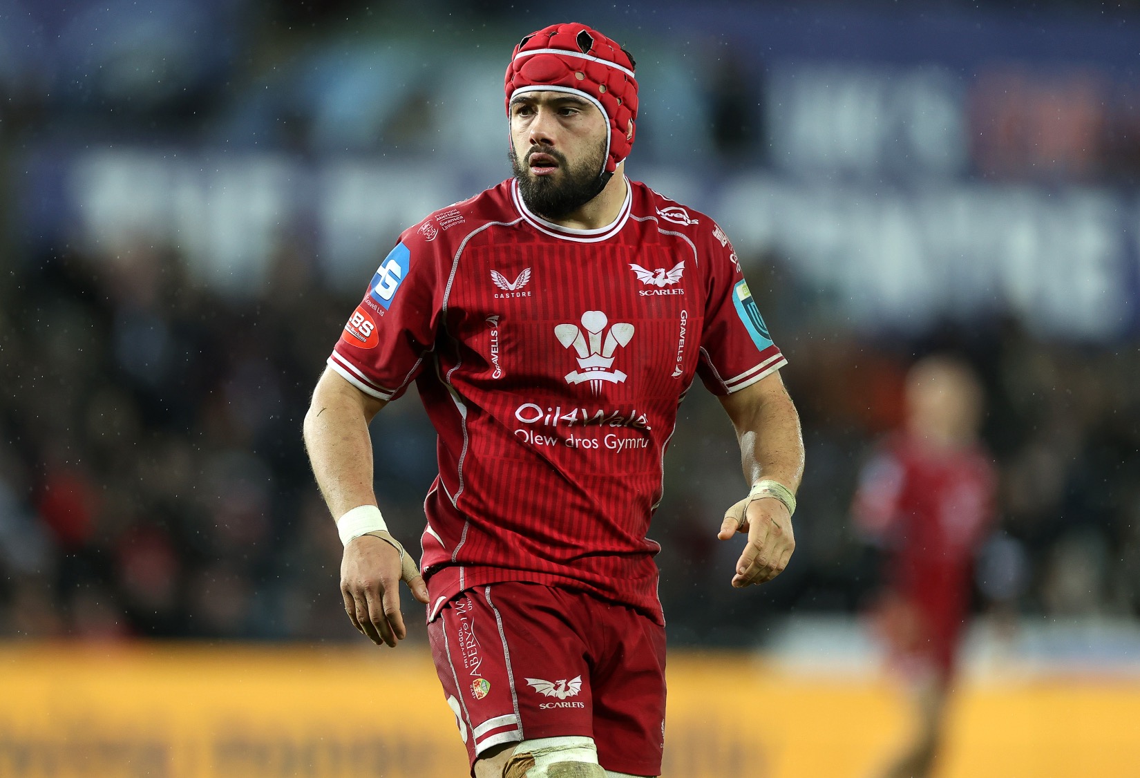 Josh Macleod returns to lead Scarlets in Cork - Scarlets Rugby