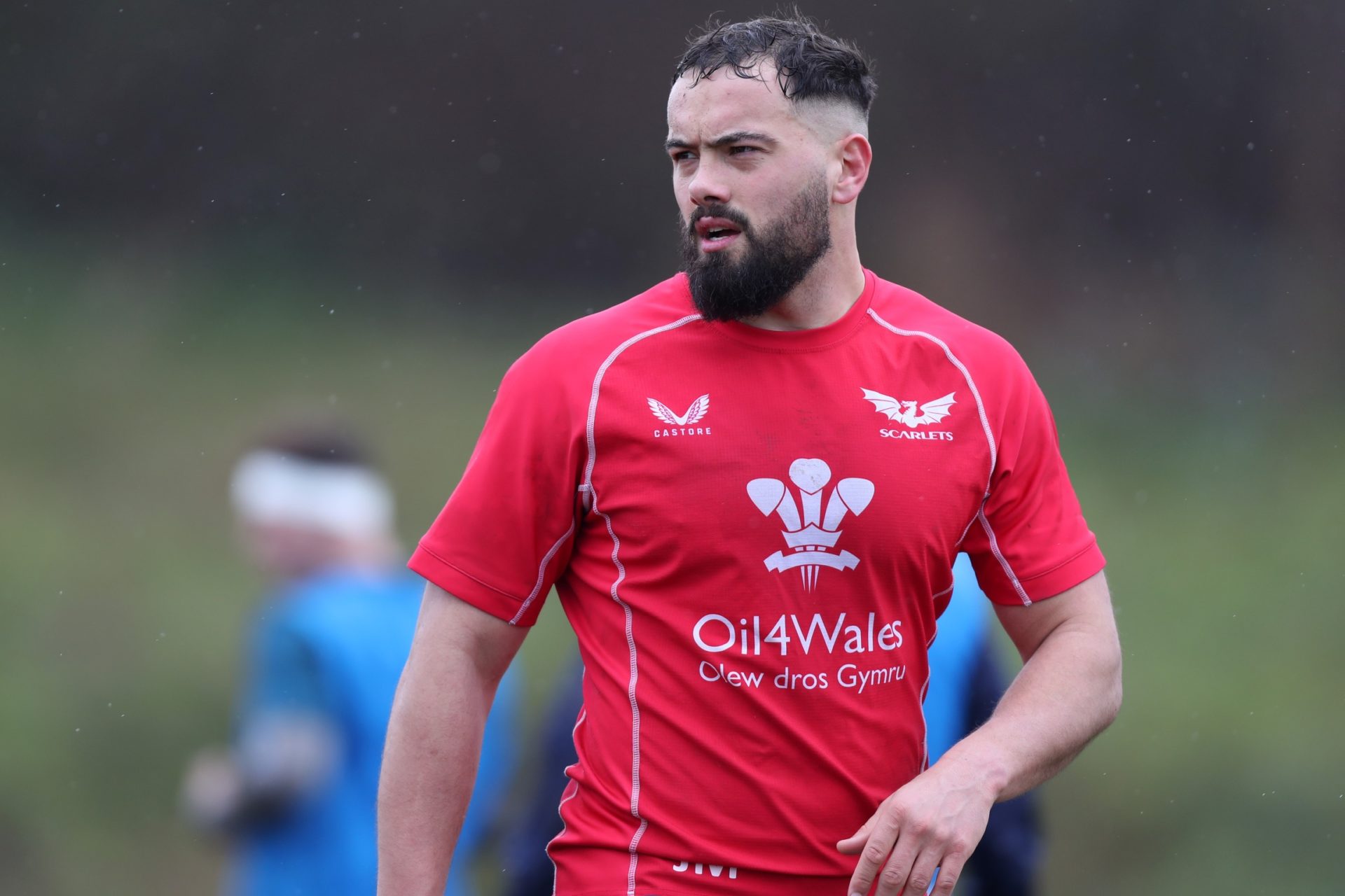 Scarlets team for Judgement Day - Scarlets Rugby
