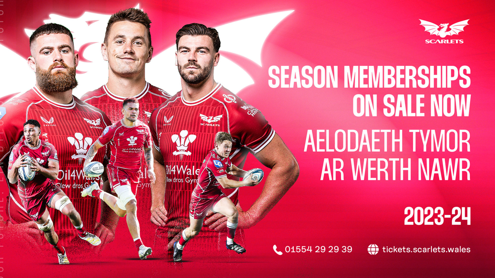 23/24 Season Membership FAQs - Scarlets Rugby