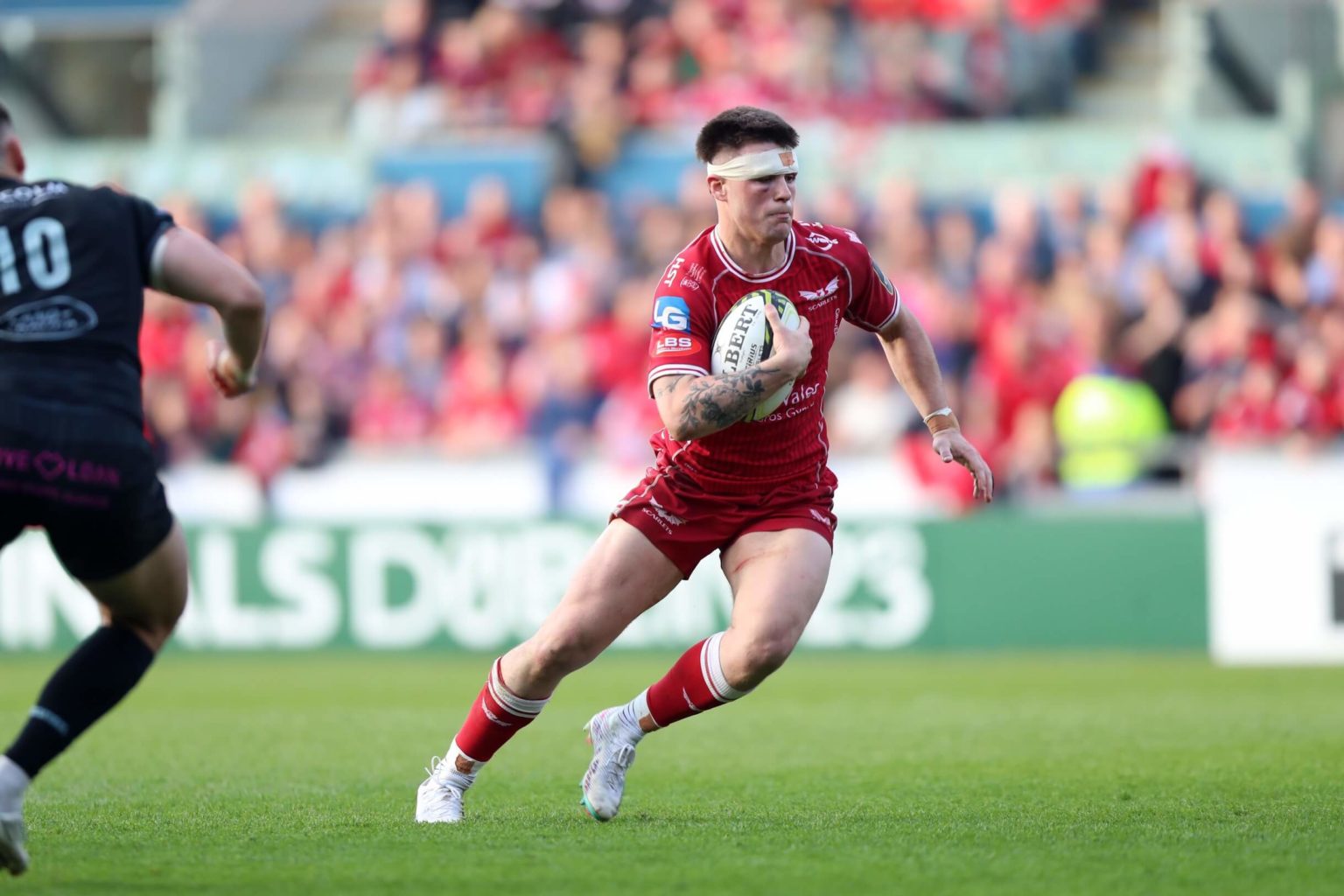 Joe and Kemsley among 11 Scarlets named in Wales World Cup training ...