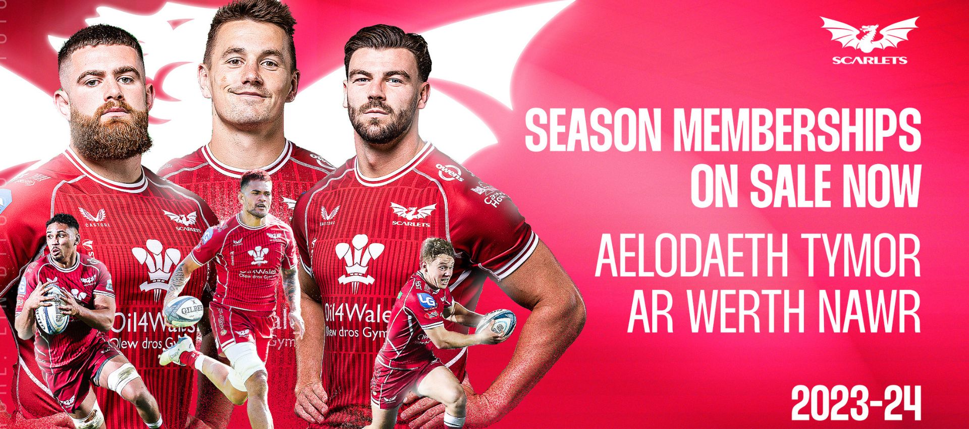 Scarlets Rugby - Official Website of Scarlets Rugby