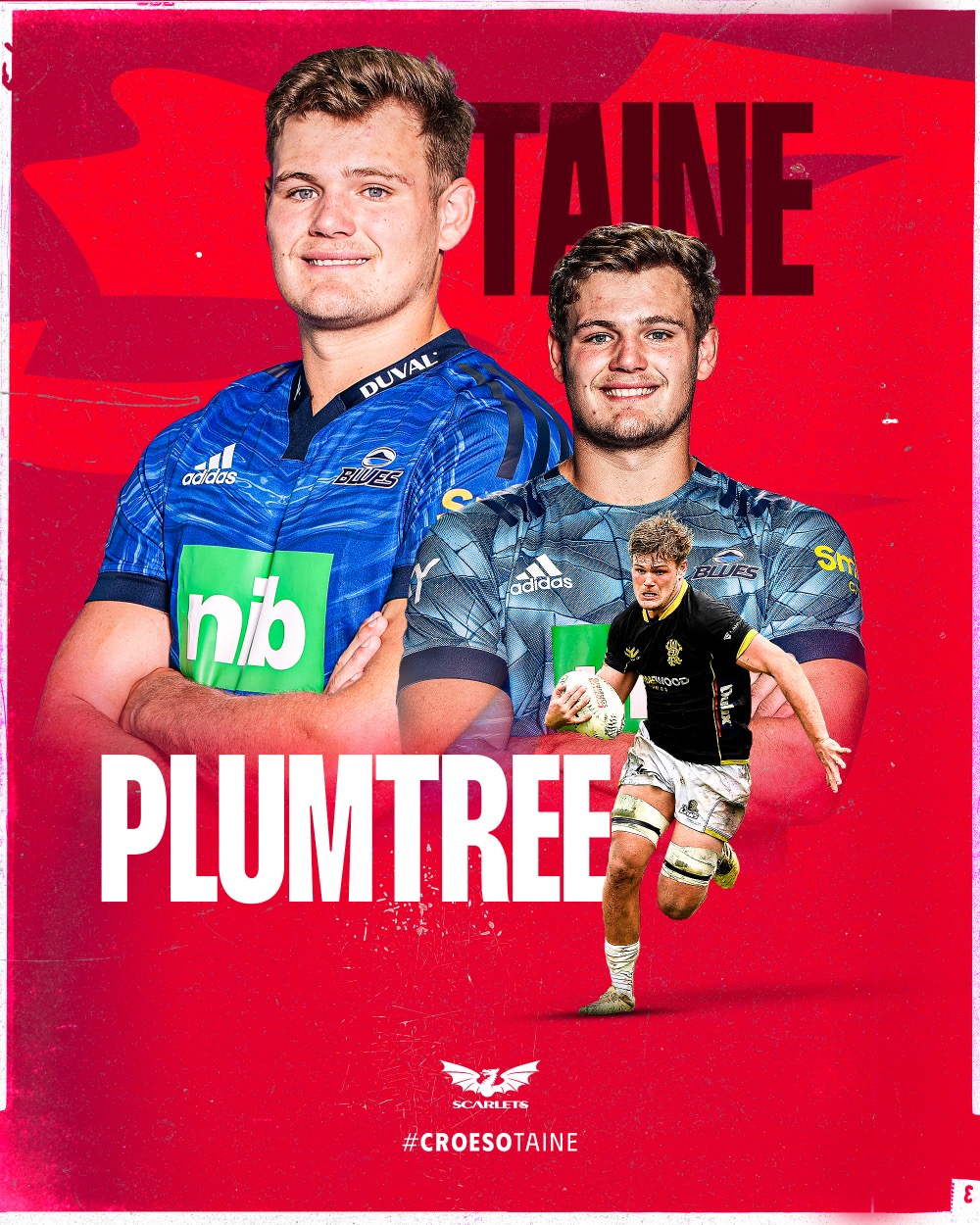 Scarlets sign Super Rugby forward Taine Plumtree - Scarlets Rugby