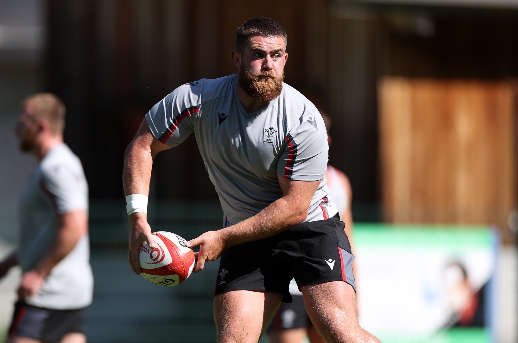 Warren Gatland names training squad for Turkey - Scarlets Rugby