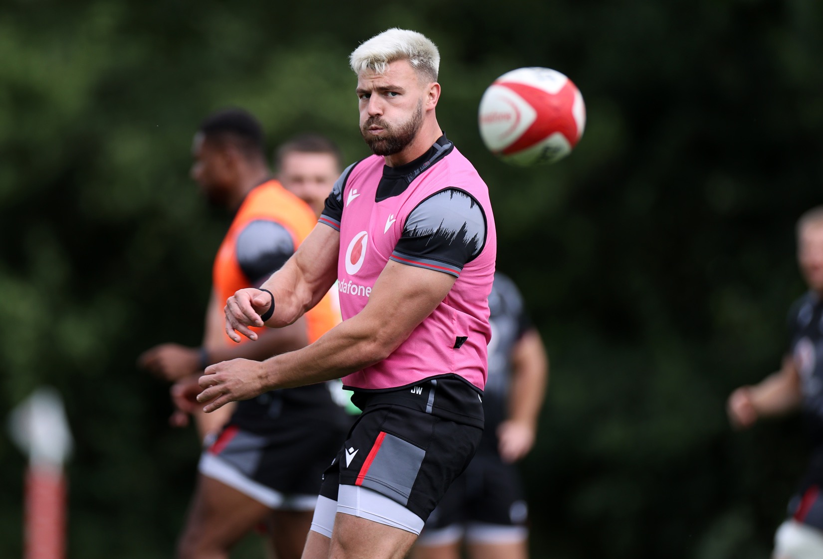 Johnny Williams And Kieran Hardy Return To Wales Side For Boks Test