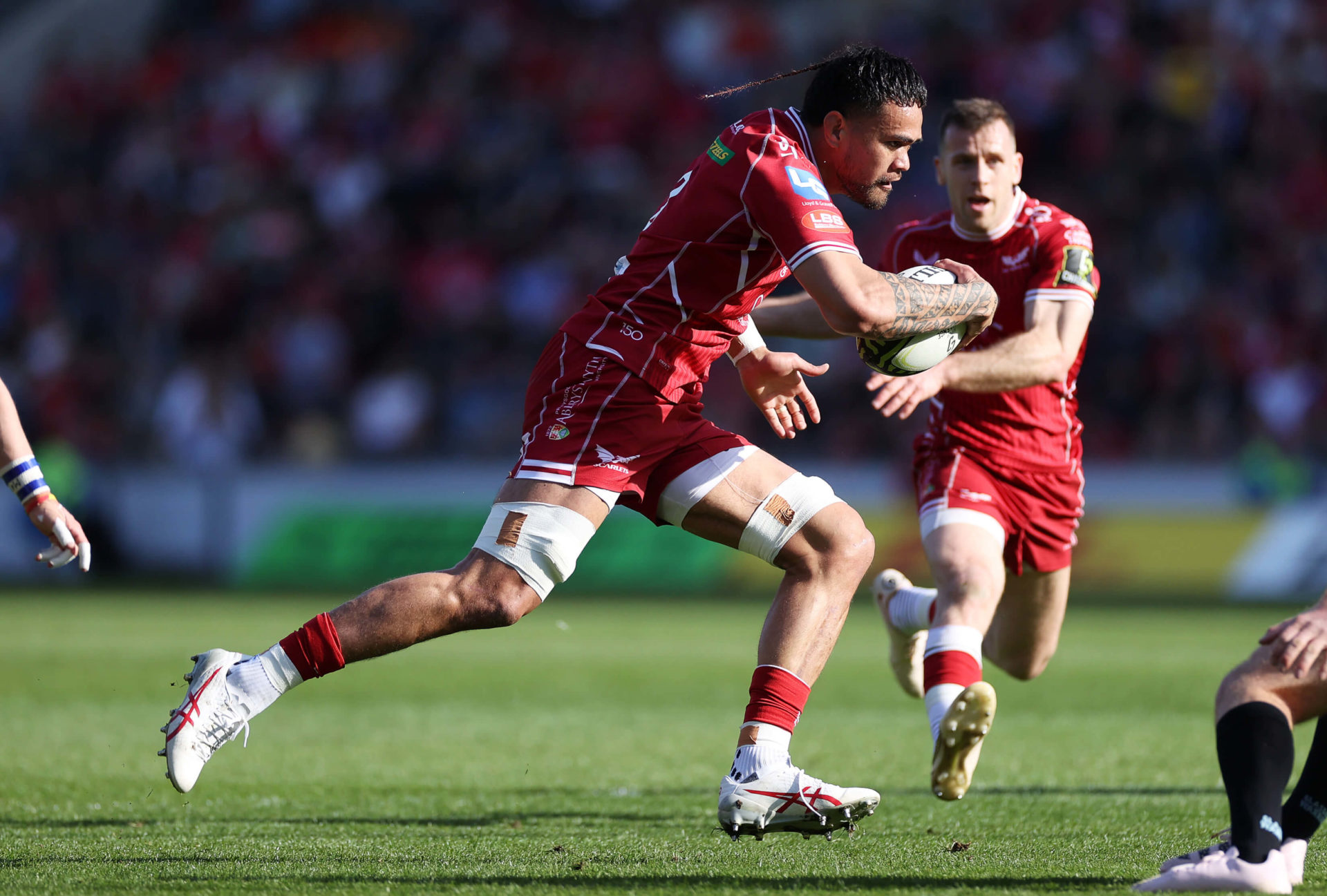 Vaea and Sam named in Tonga World Cup squad - Scarlets Rugby