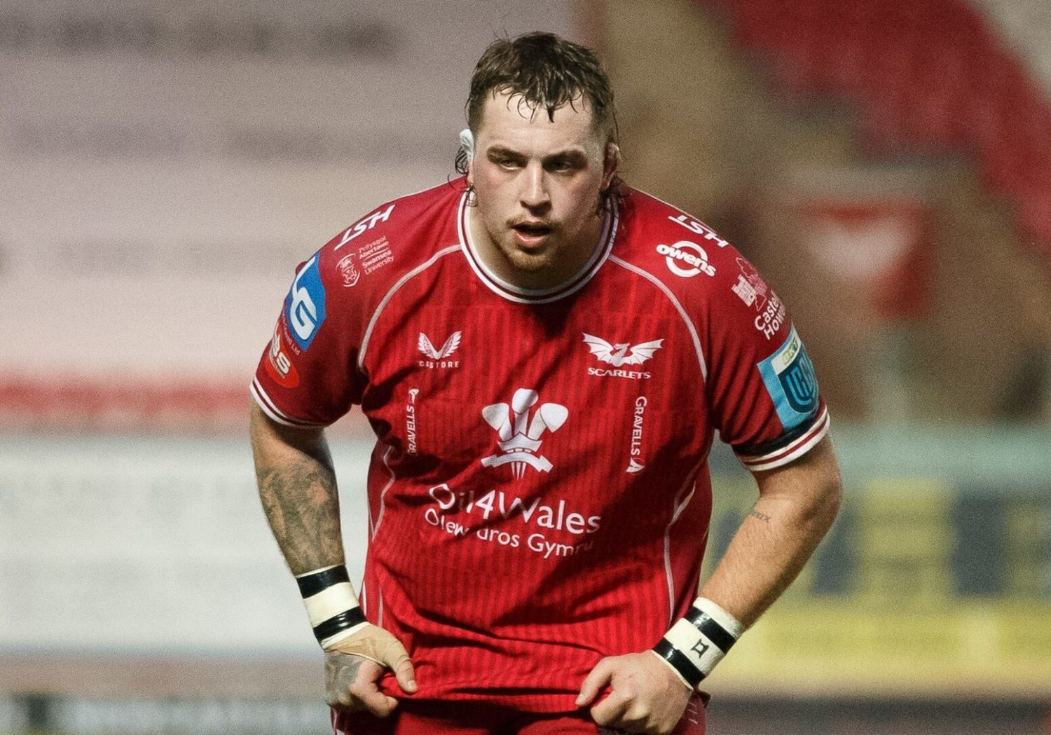 Sam Wainwright - Scarlets Rugby