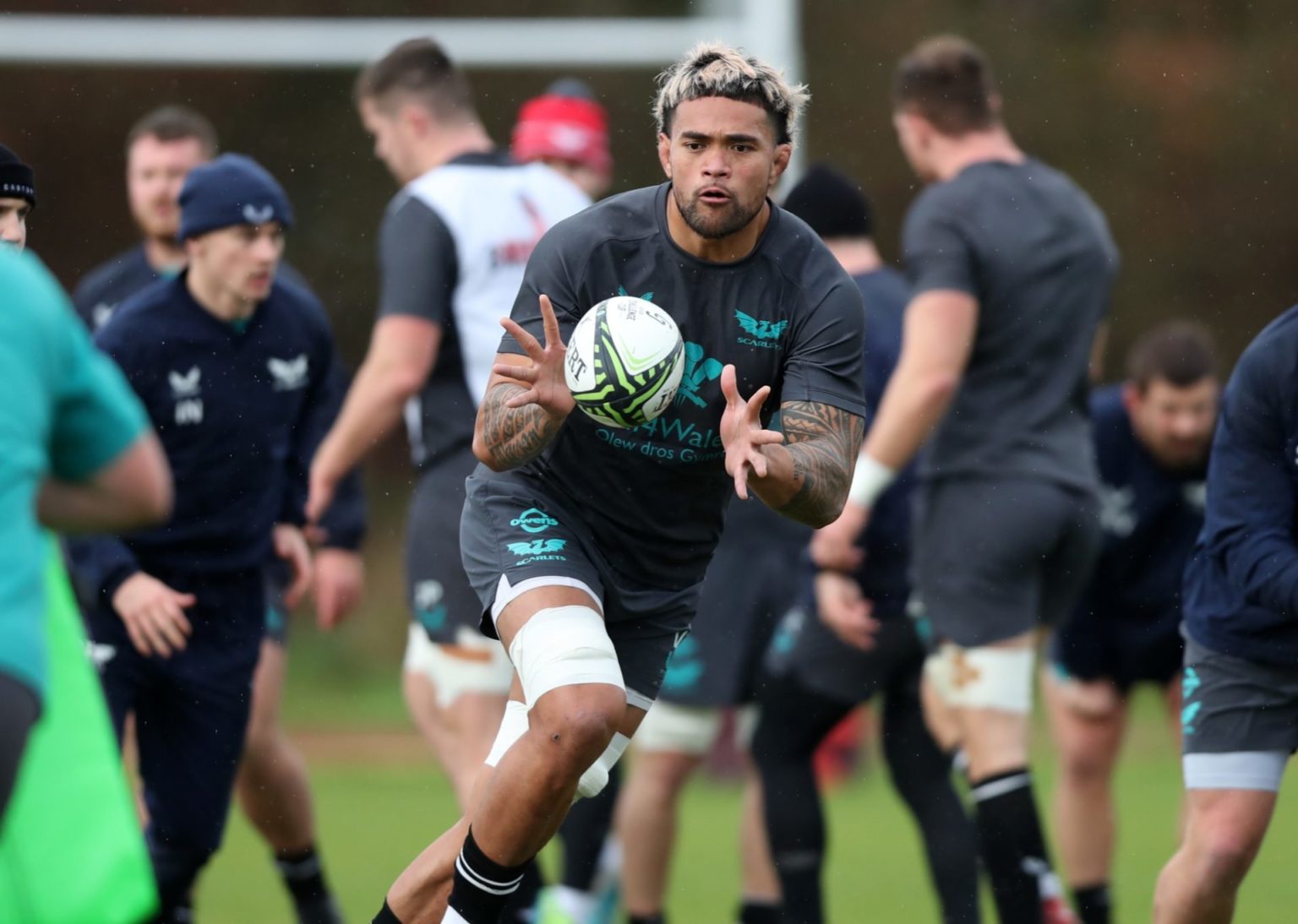 Gareth Davies returns to skipper Scarlets against Black Lion - Scarlets ...