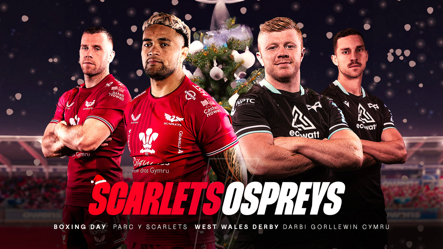 Scarlets Rugby - Official Website of Scarlets Rugby
