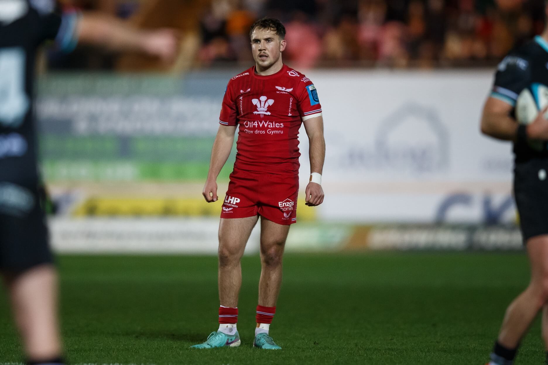 Eight Scarlets named in Wales Six Nations squad - Scarlets Rugby