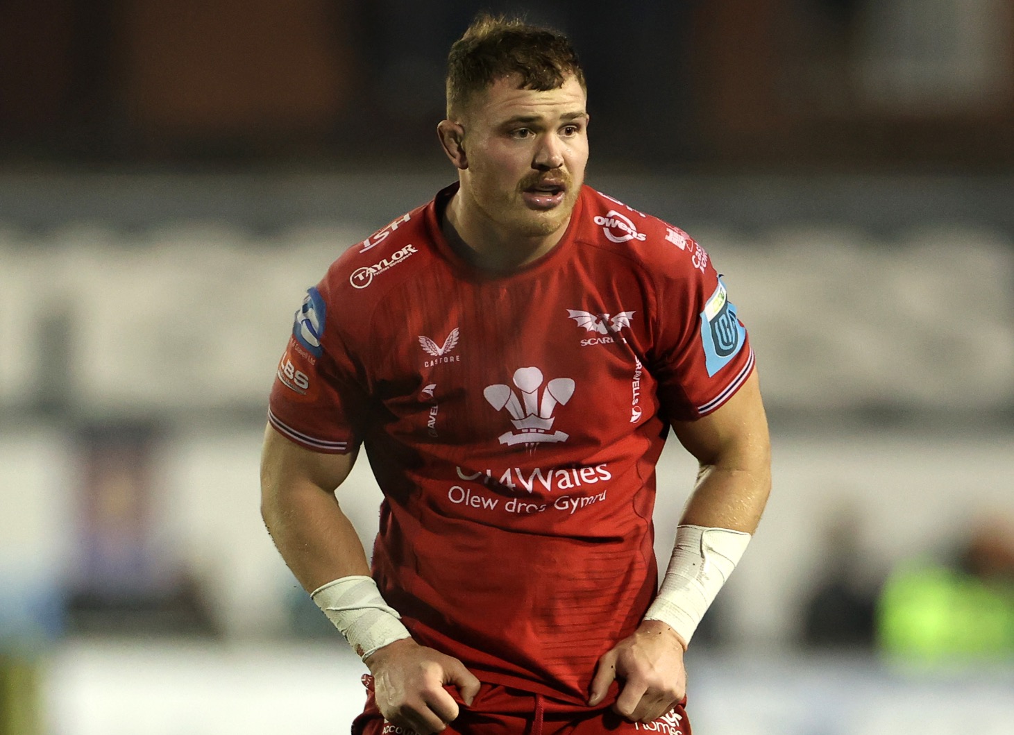 Alex Craig links up with Scotland Six Nations squad - Scarlets Rugby