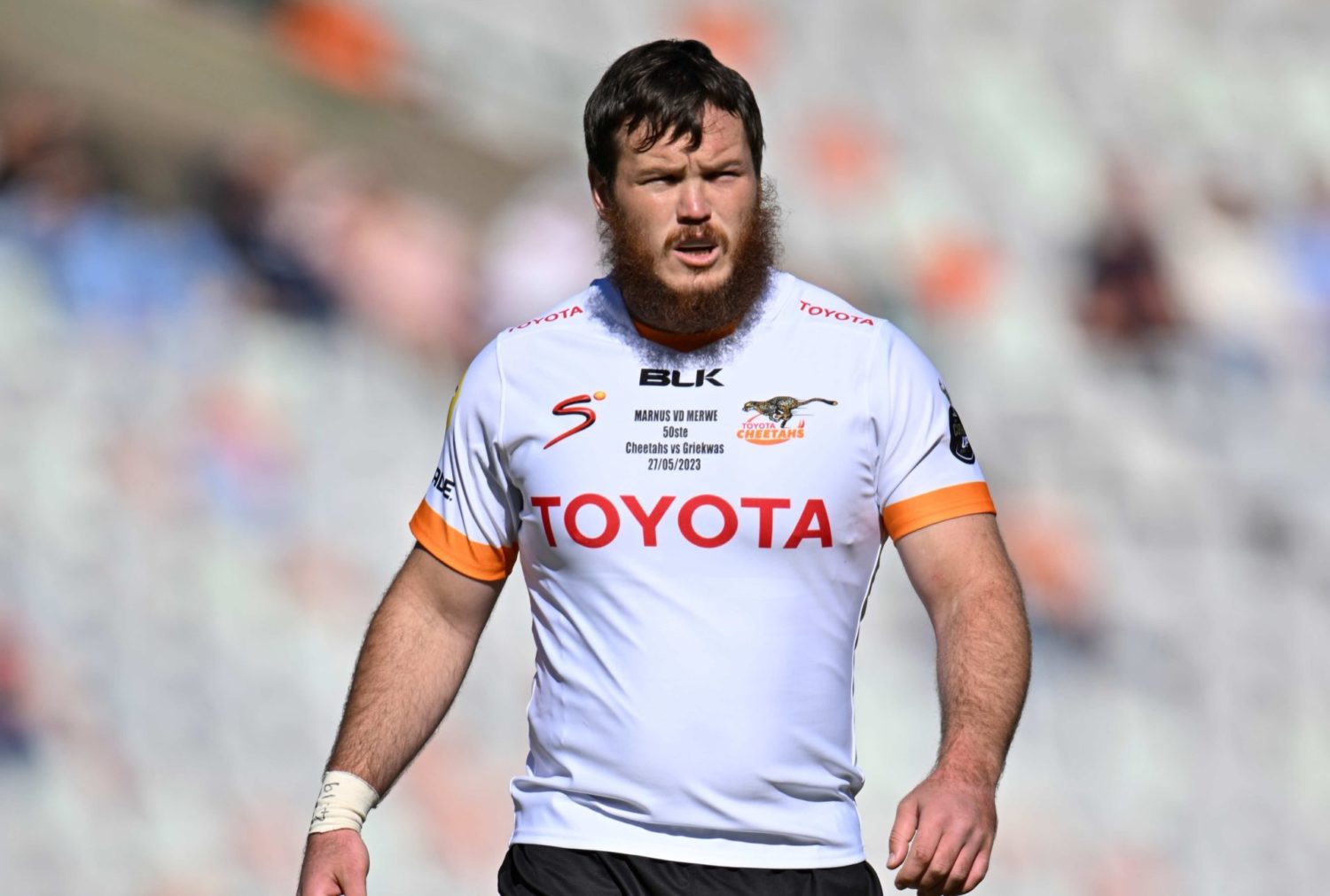 Scarlets sign Cheetahs hooker Marnus van der Merwe - Scarlets Rugby