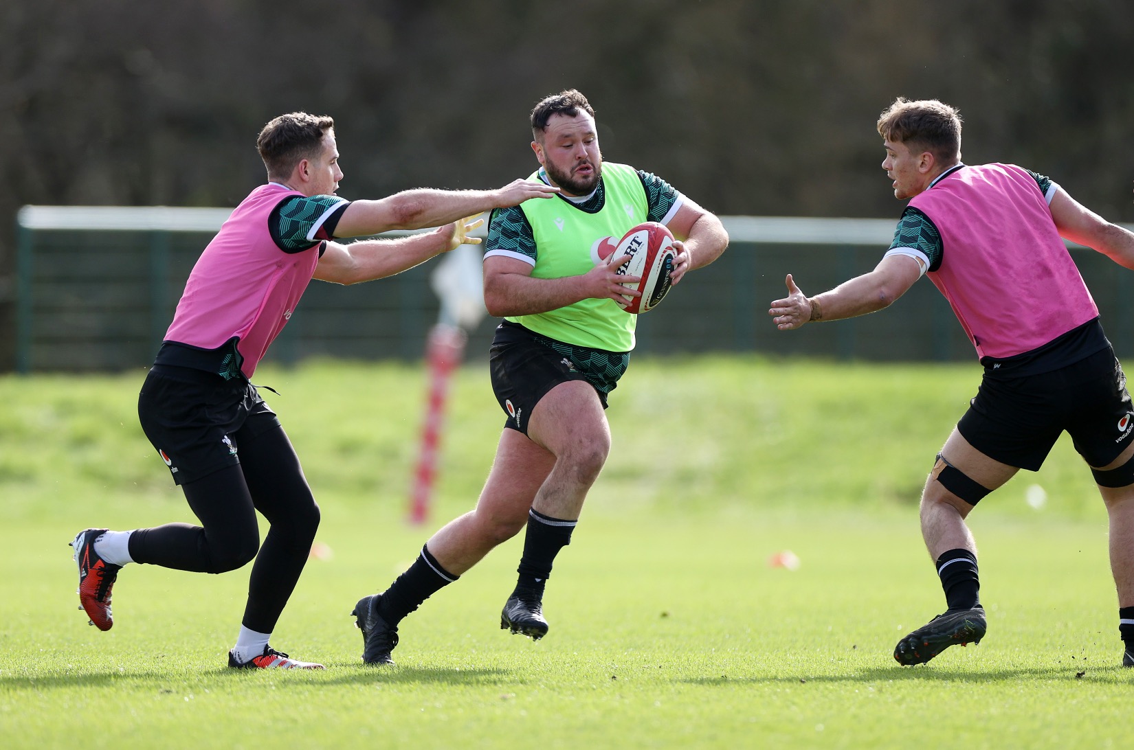 Harri O’Connor set for Test debut in Six Nations finale - Scarlets Rugby