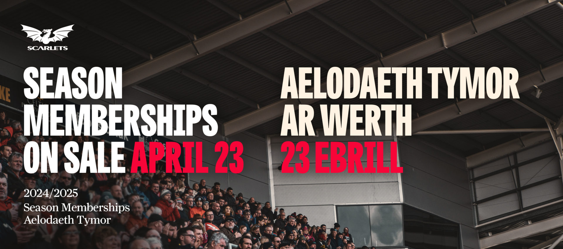 Scarlets Rugby - Official Website of Scarlets Rugby