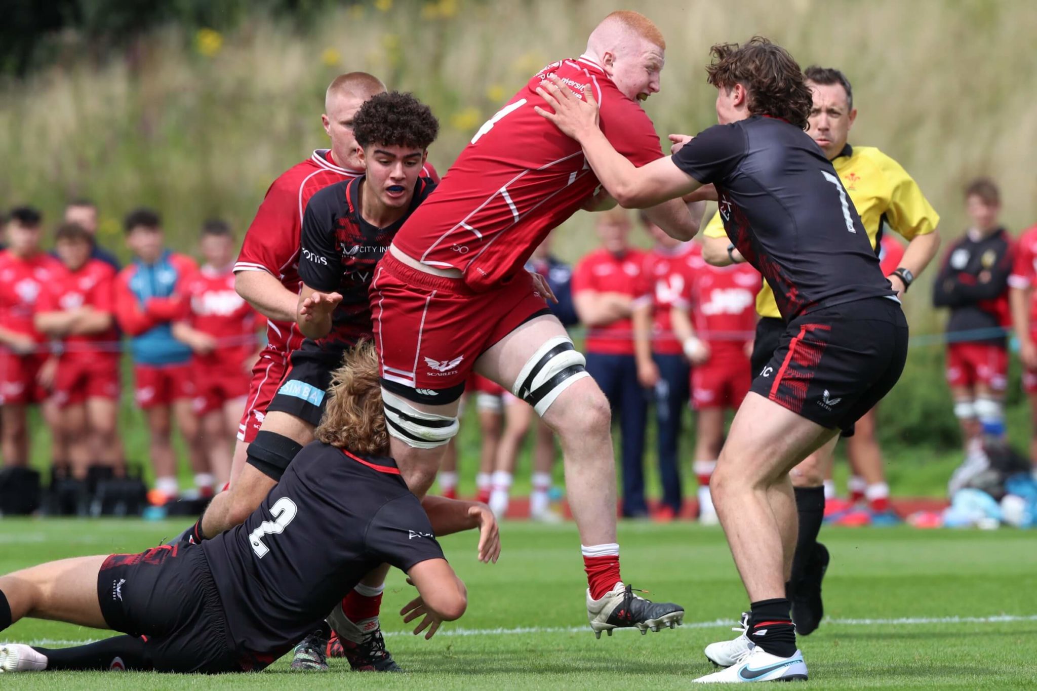 Second row Will Evans signs Senior Academy contract - Scarlets Rugby