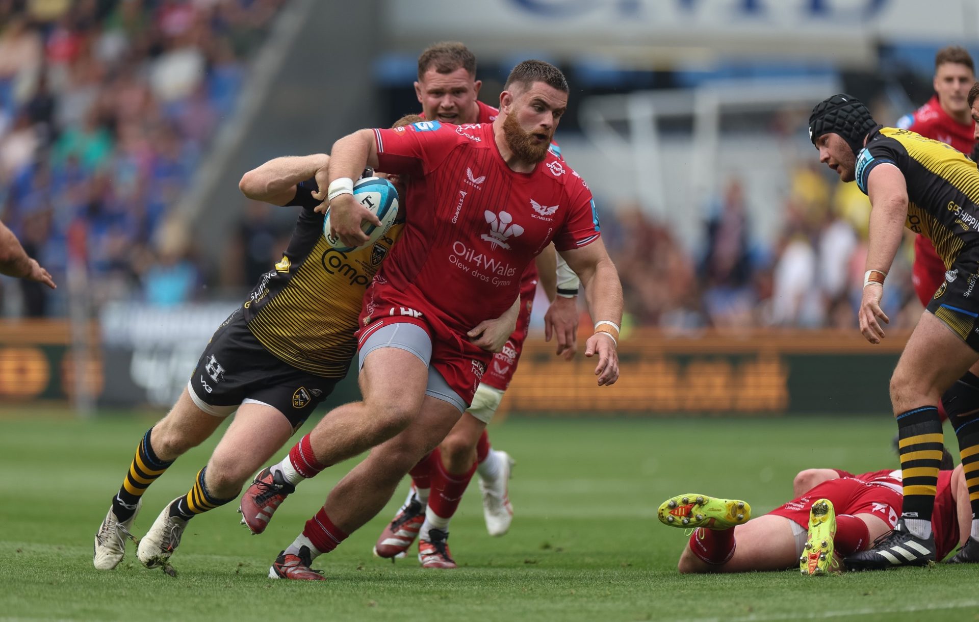 Six Scarlets named in Wales squad for summer Tests - Scarlets Rugby